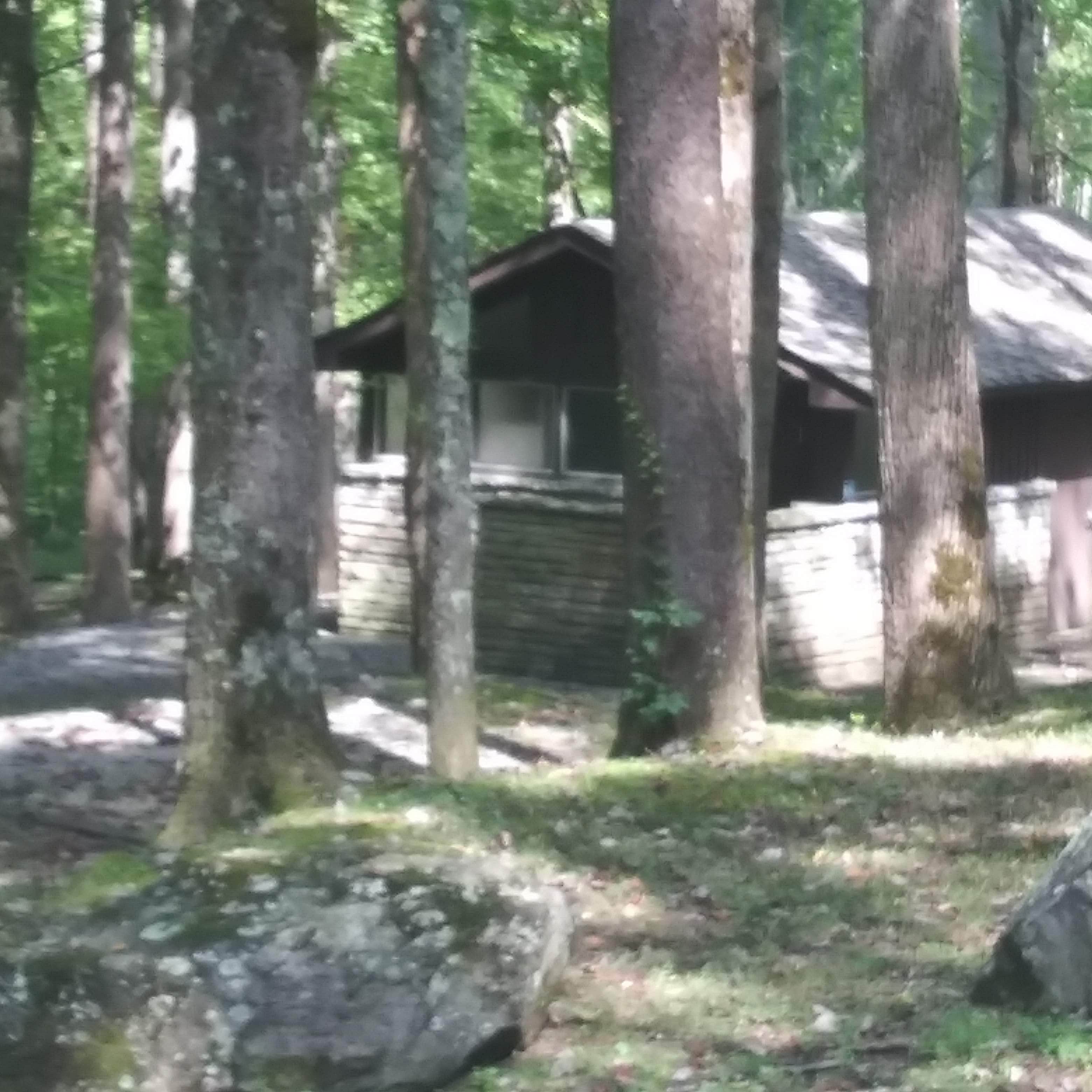 Cosby Campground — Great Smoky Mountains National Park | Cosby, TN