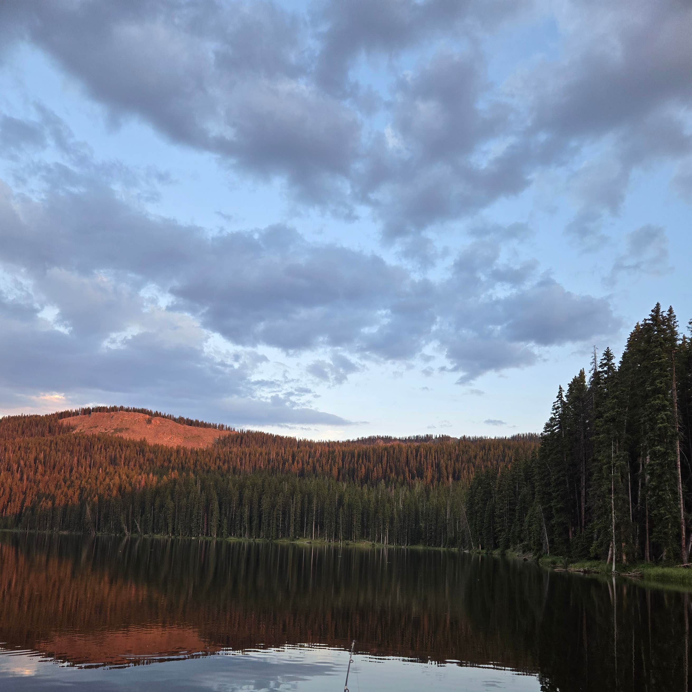 Cotton Wood Lakes #1-4 Camping | Cedaredge, Colorado