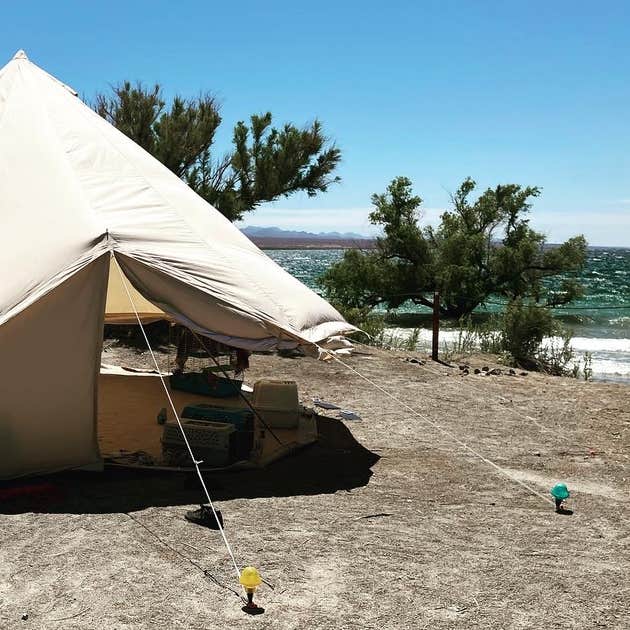 cottonwood cove Camping | Searchlight, Nevada