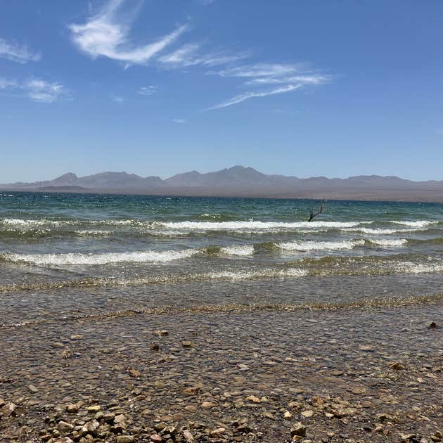 cottonwood cove Camping | Searchlight, Nevada