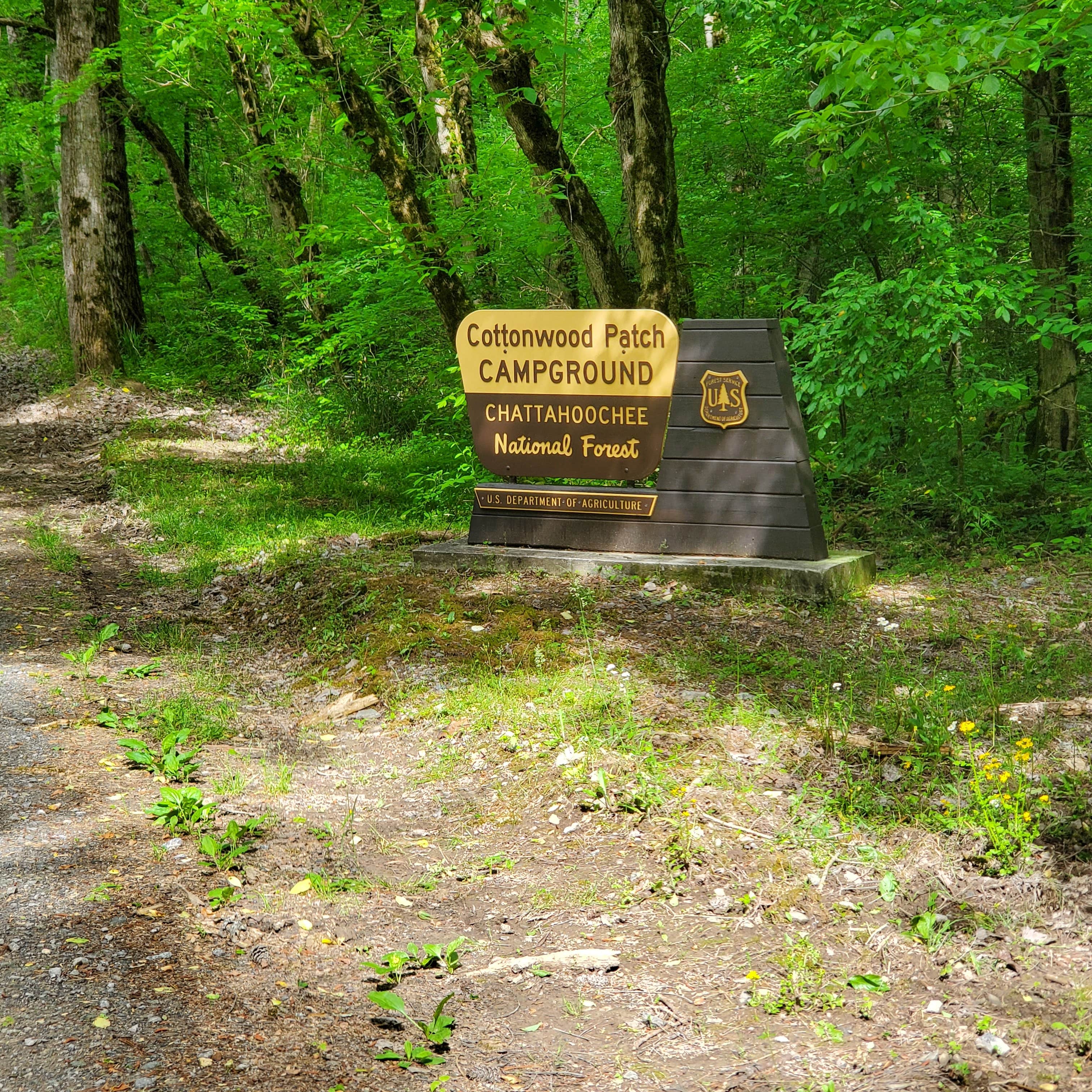 Cottonwood Patch Campground | Cisco, GA