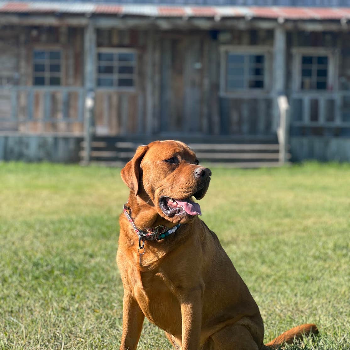 Countryside RV Park | Dillon, Montana