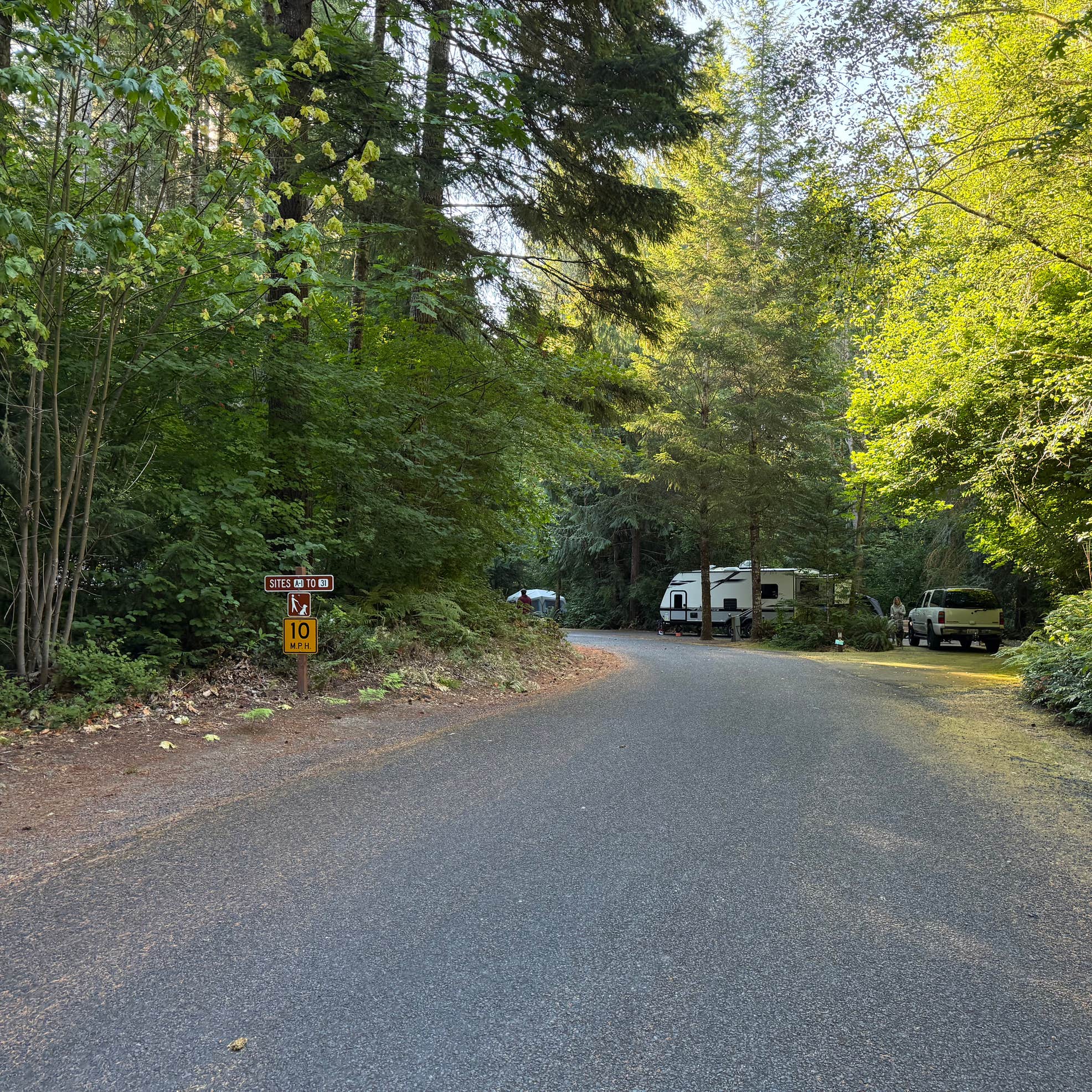 Cowlitz Falls Campground | Randle, Washington