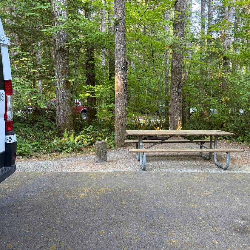 Cowlitz Falls Campground | Randle, Washington
