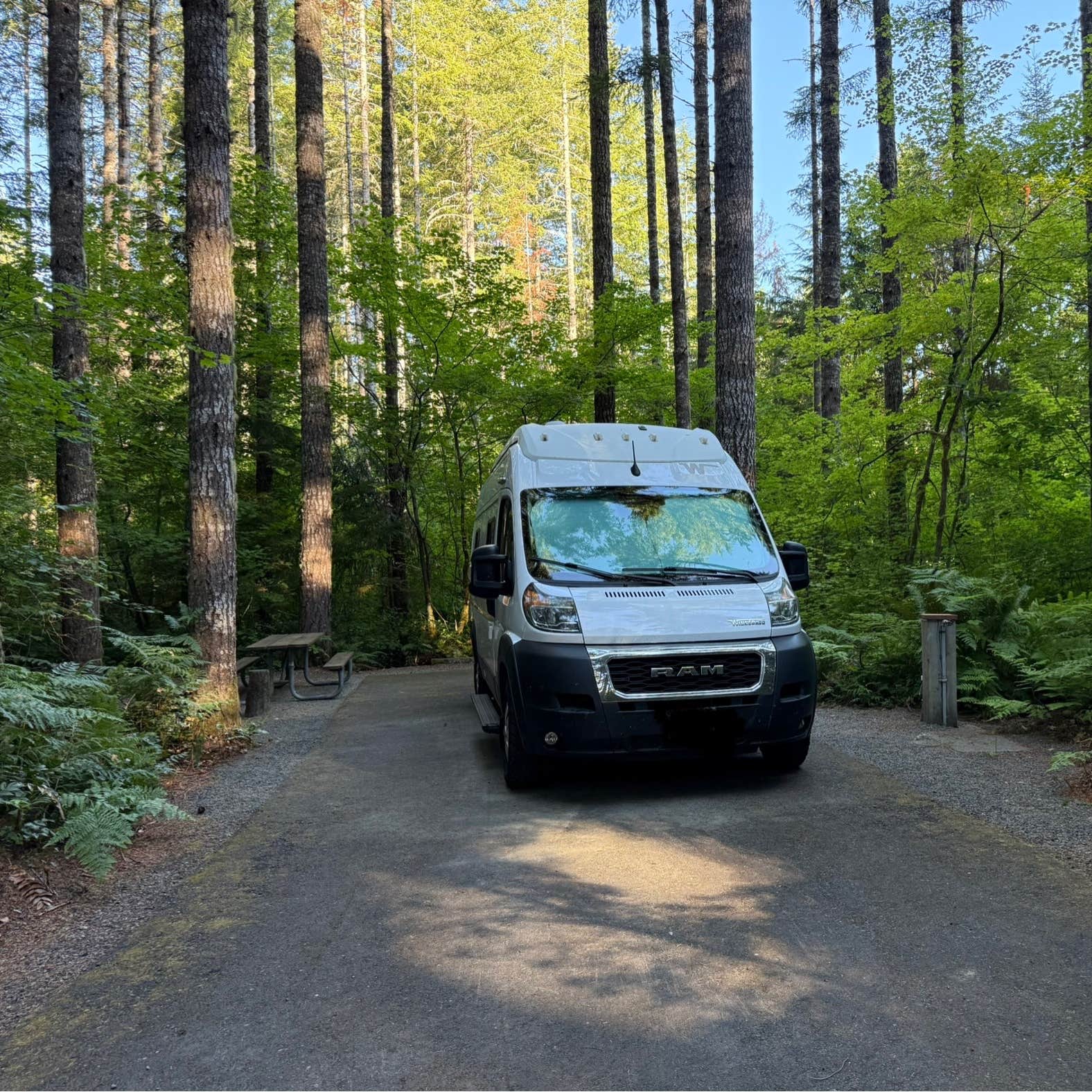 Cowlitz Falls Campground | Randle, Washington