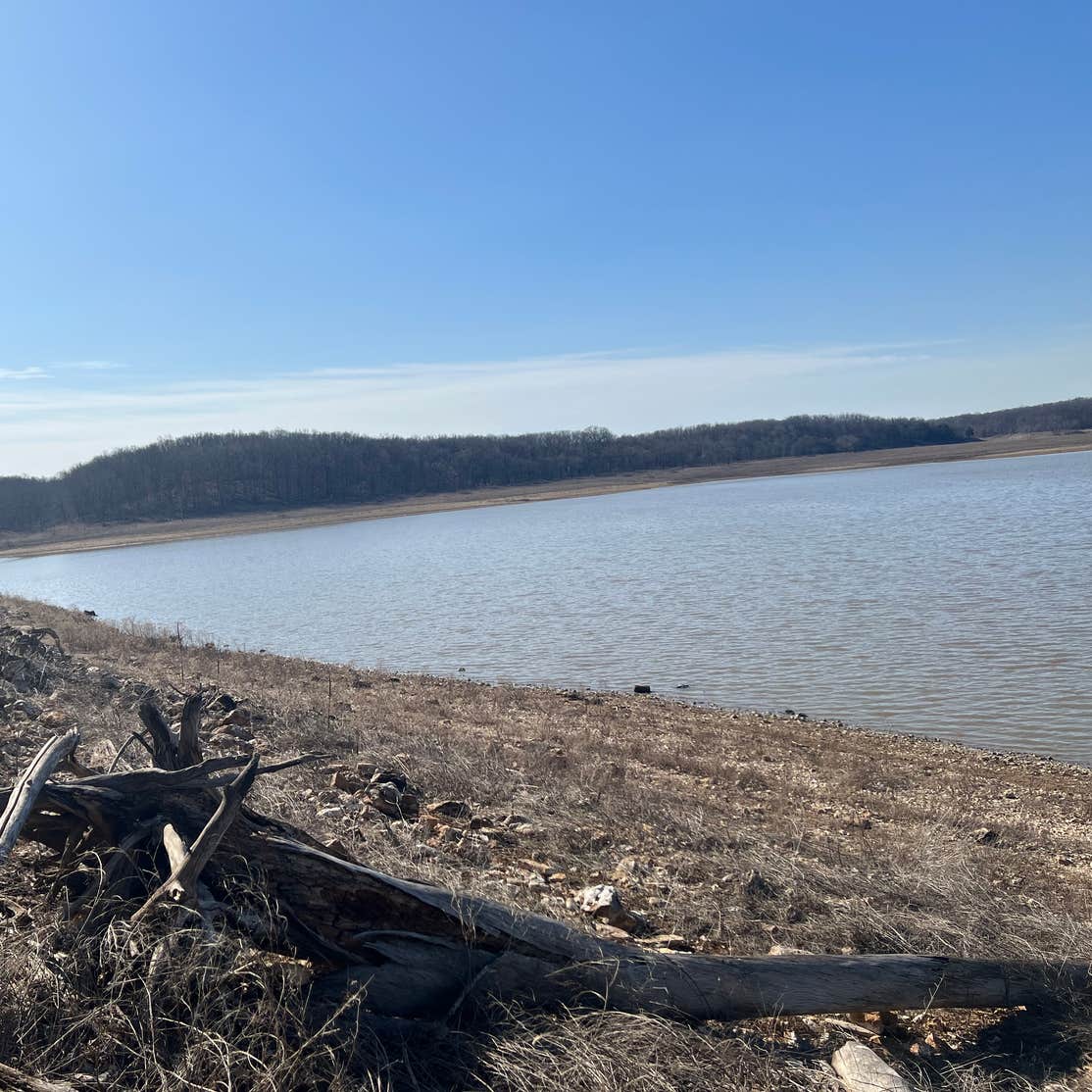 Coyote — Mark Twain State Park Camping | Stoutsville, Missouri