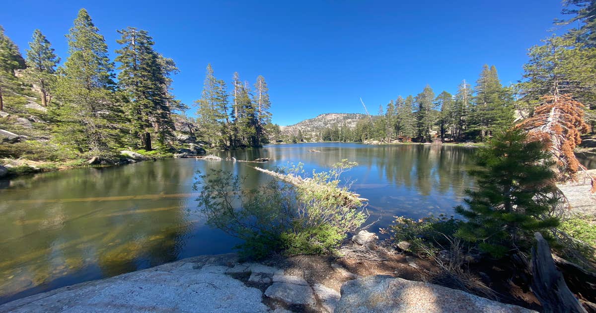 Crabtree TH Camping | Stanislaus National Forest, California