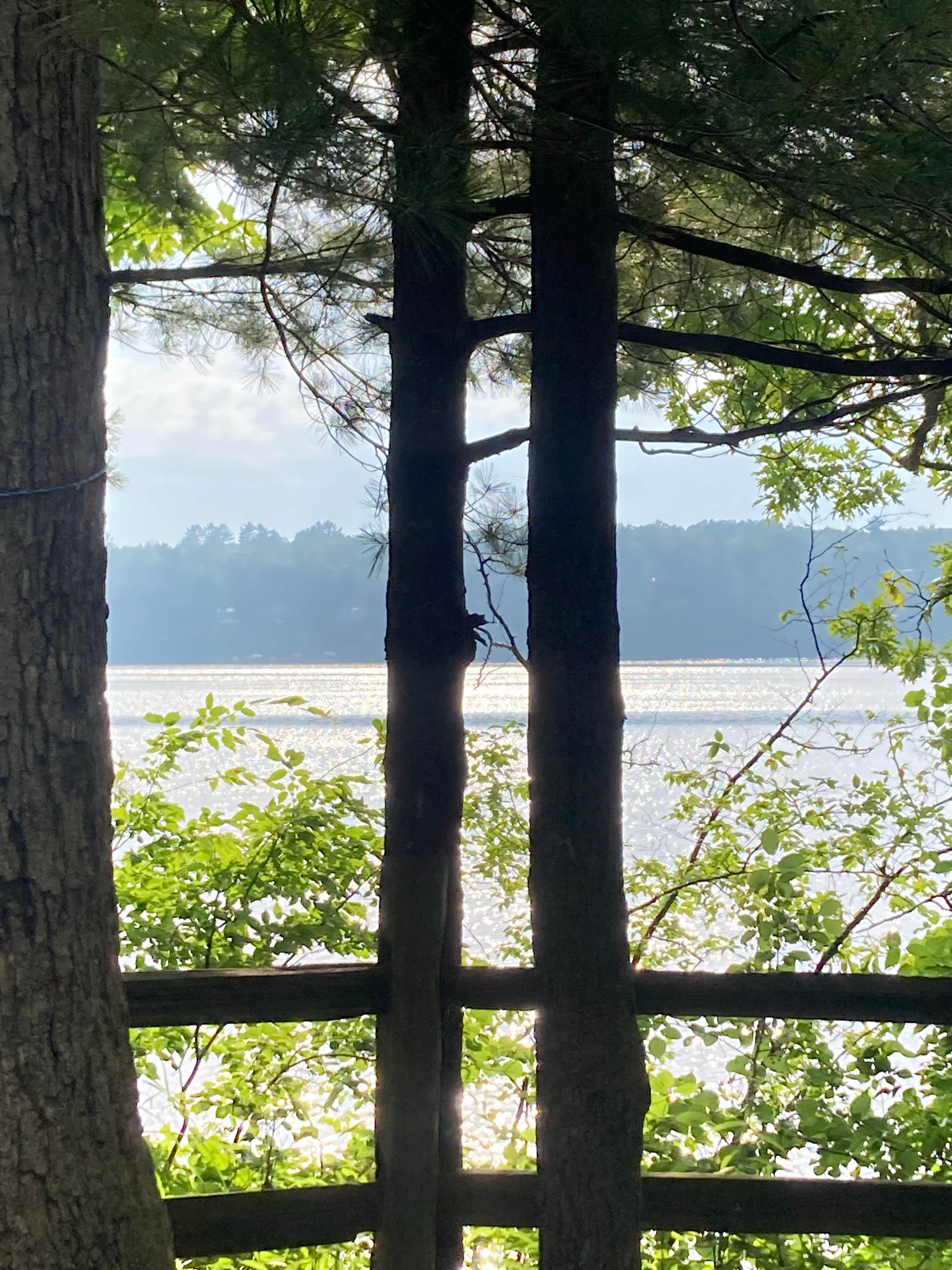 Croton Township Campground | Newaygo, MI