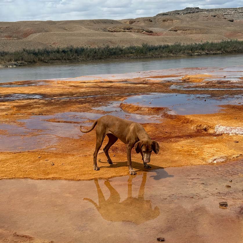 Crystal Geyser Dispersed Camp | Green River, Utah