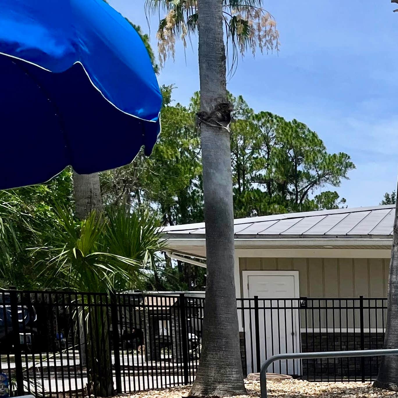 Encore Crystal Isles Camping | Crystal River, FL