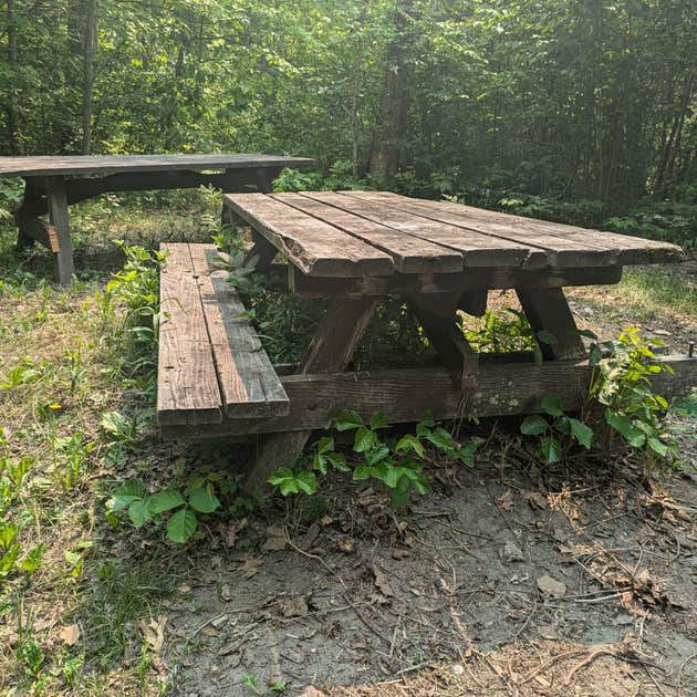 D57 Upper Pigeon Lake Camping | Wirt, Minnesota