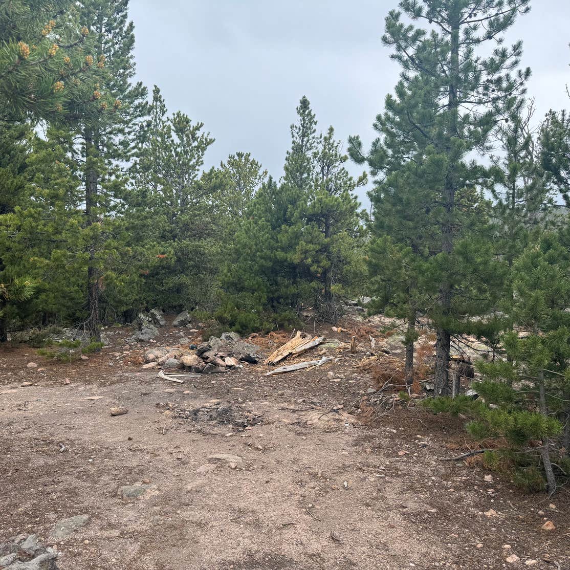 Deadman’s Rd Camping | Red Feather Lakes, Colorado