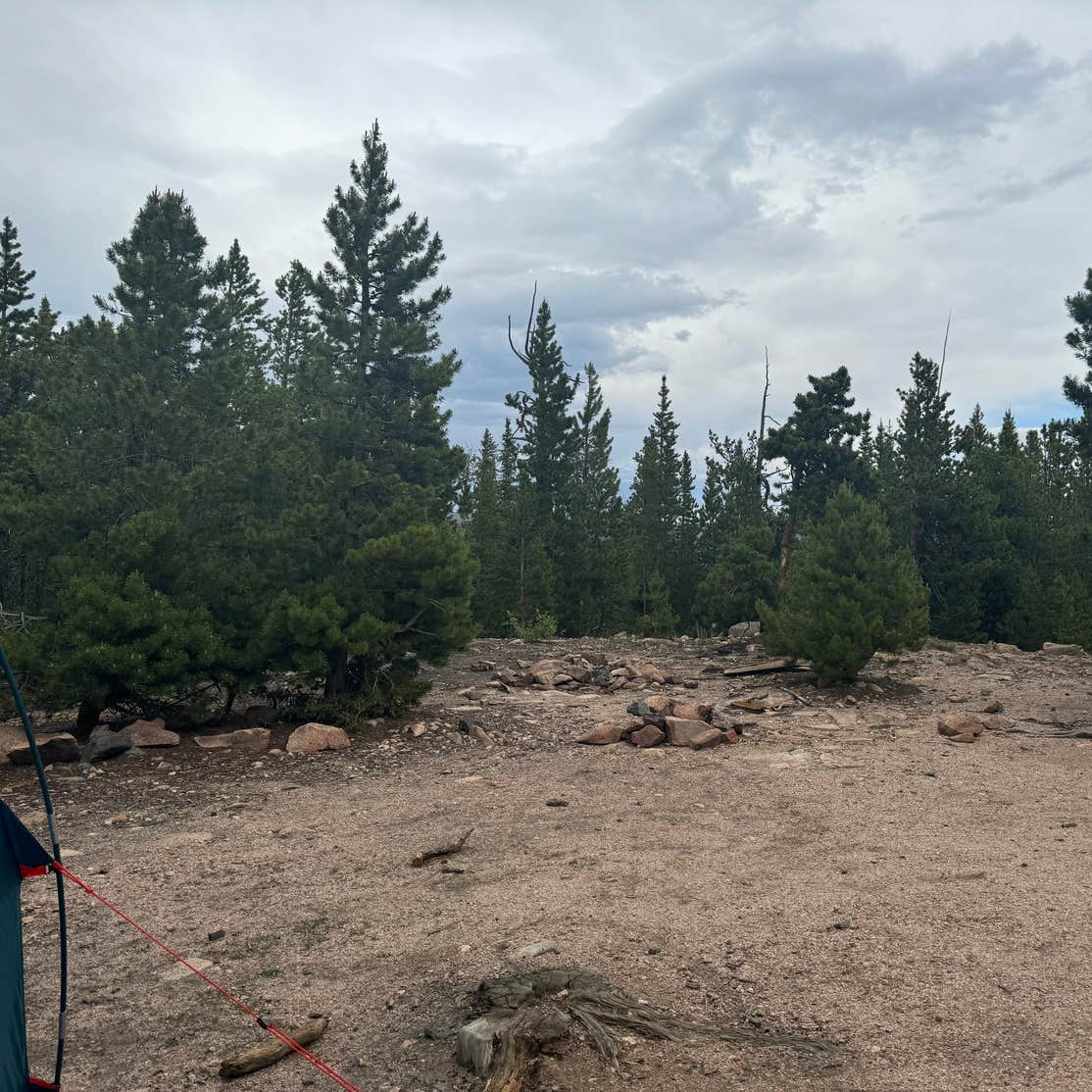 Deadman’s Rd Camping | Red Feather Lakes, Colorado