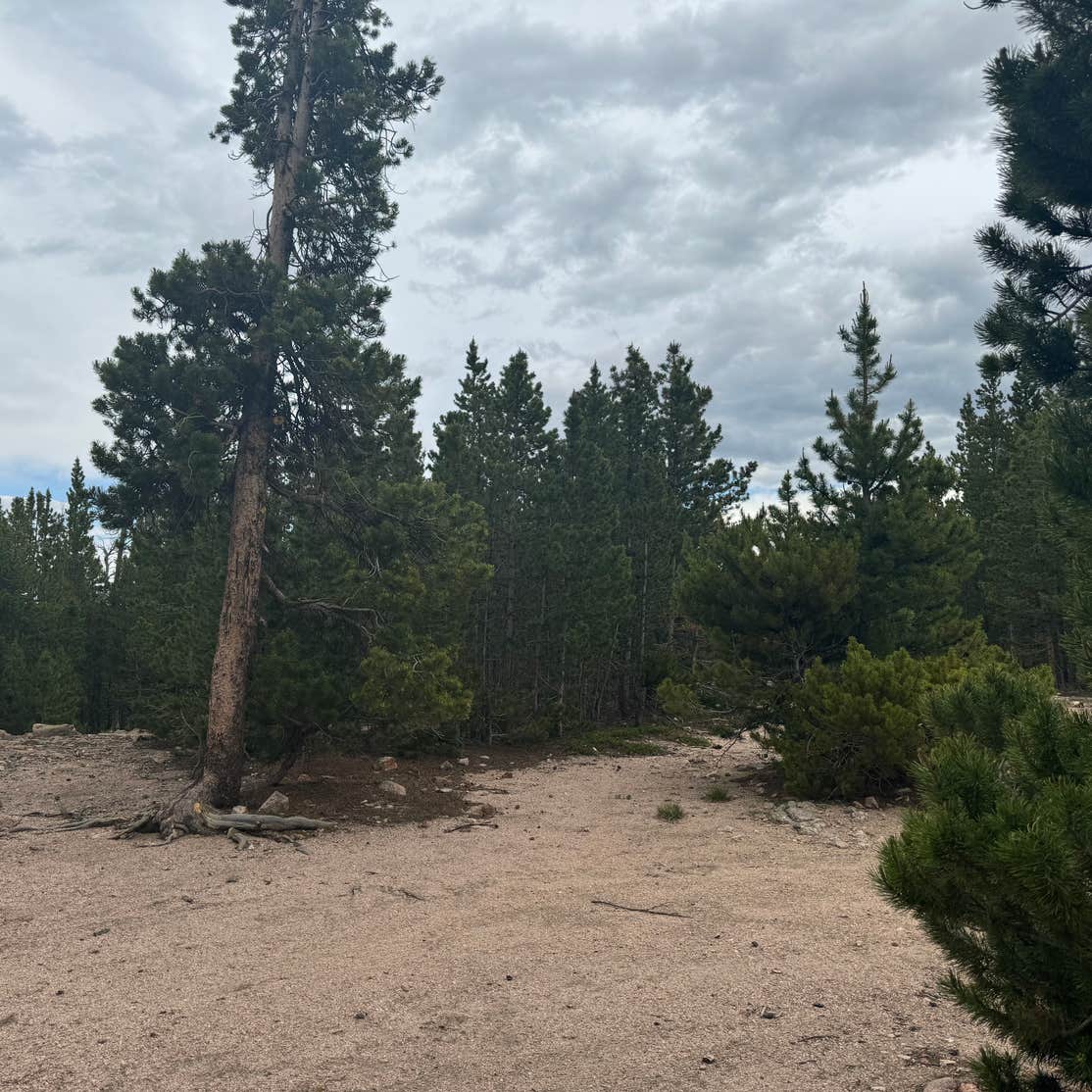 Deadman’s Rd Camping | Red Feather Lakes, Colorado