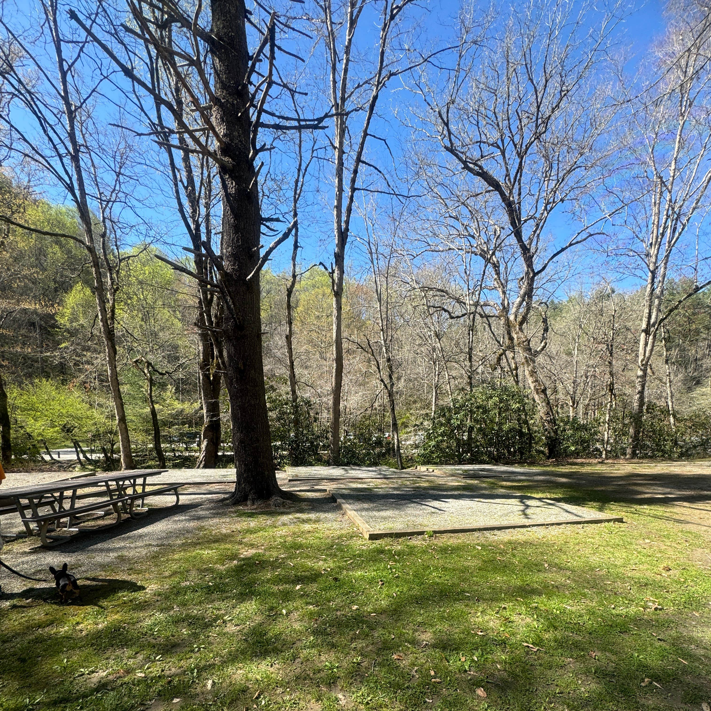 Deep Creek Campground — Great Smoky Mountains National Park | Bryson ...