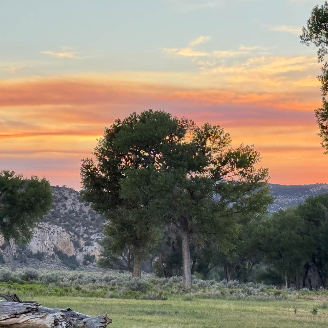 Deerlodge Park Campground — Dinosaur National Monument | Maybell, Colorado