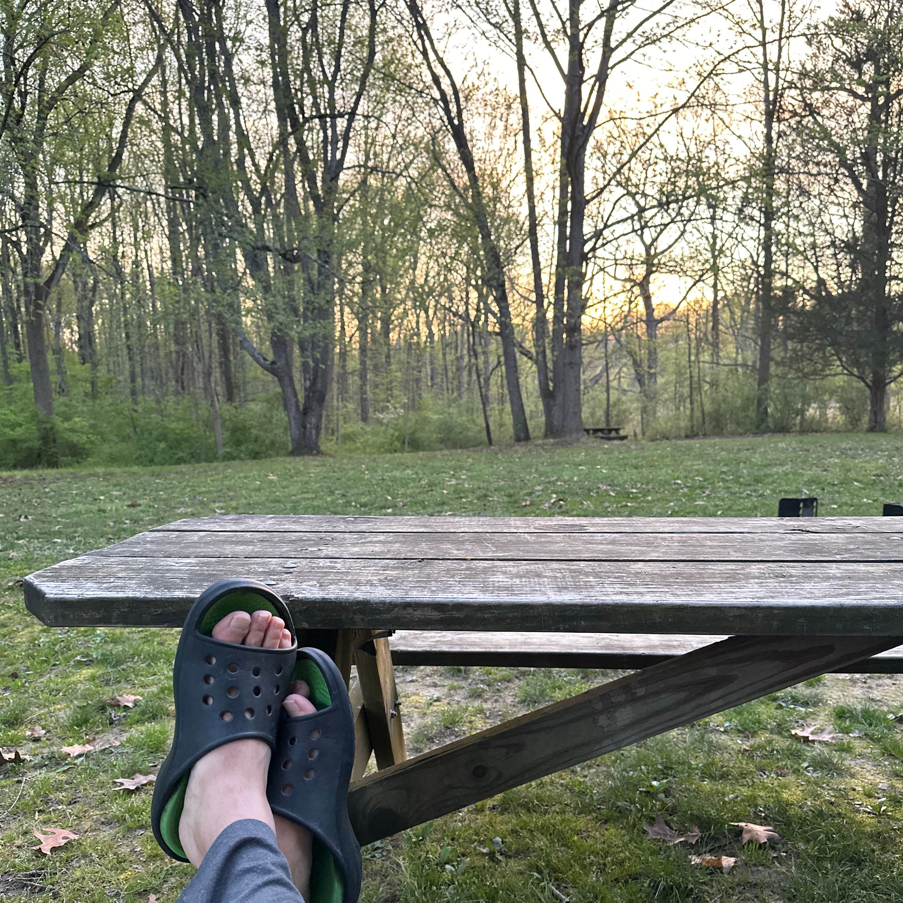 Lums Pond State Park Campground | Kirkwood, Delaware