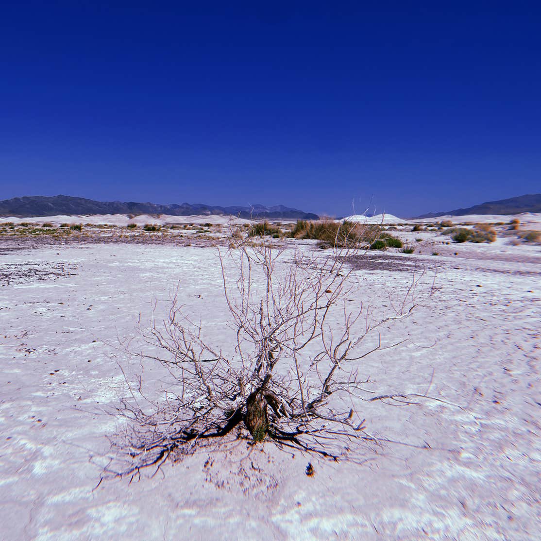 Delight’s Hot Springs Campground | Tecopa, California