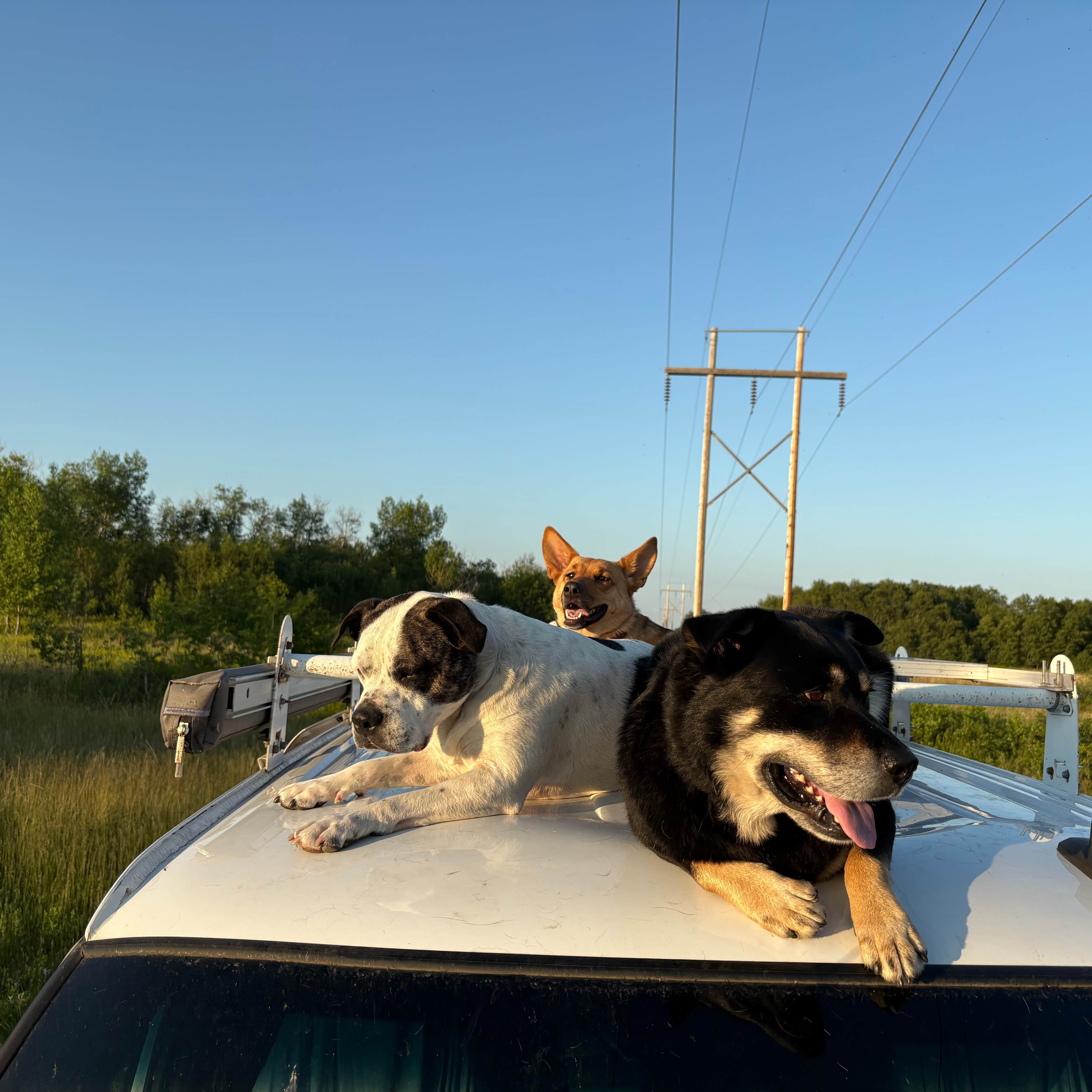 Denbigh Experimental Forest Dispersed Camping | Towner, North Dakota