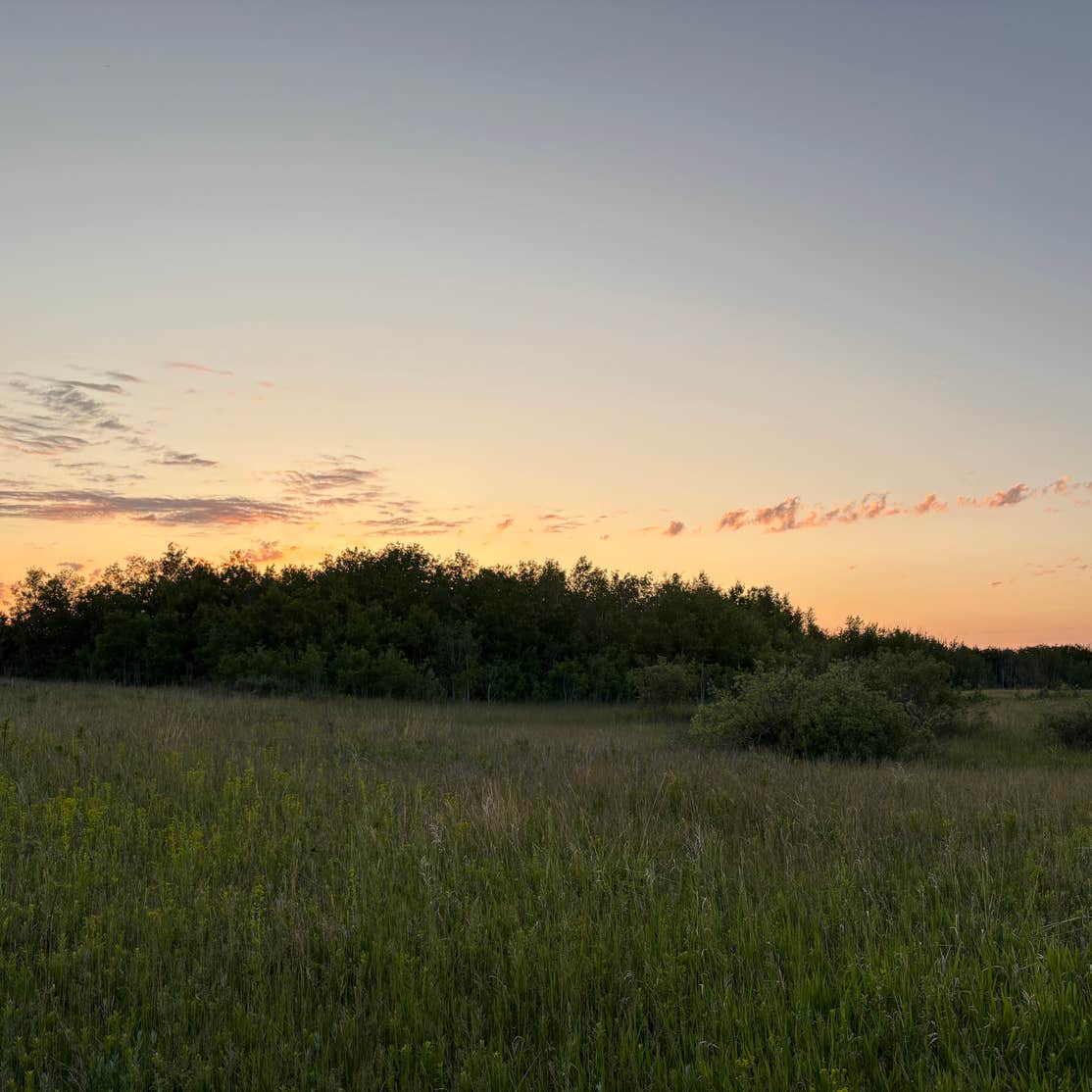 Denbigh Experimental Forest Dispersed Camping | Towner, North Dakota