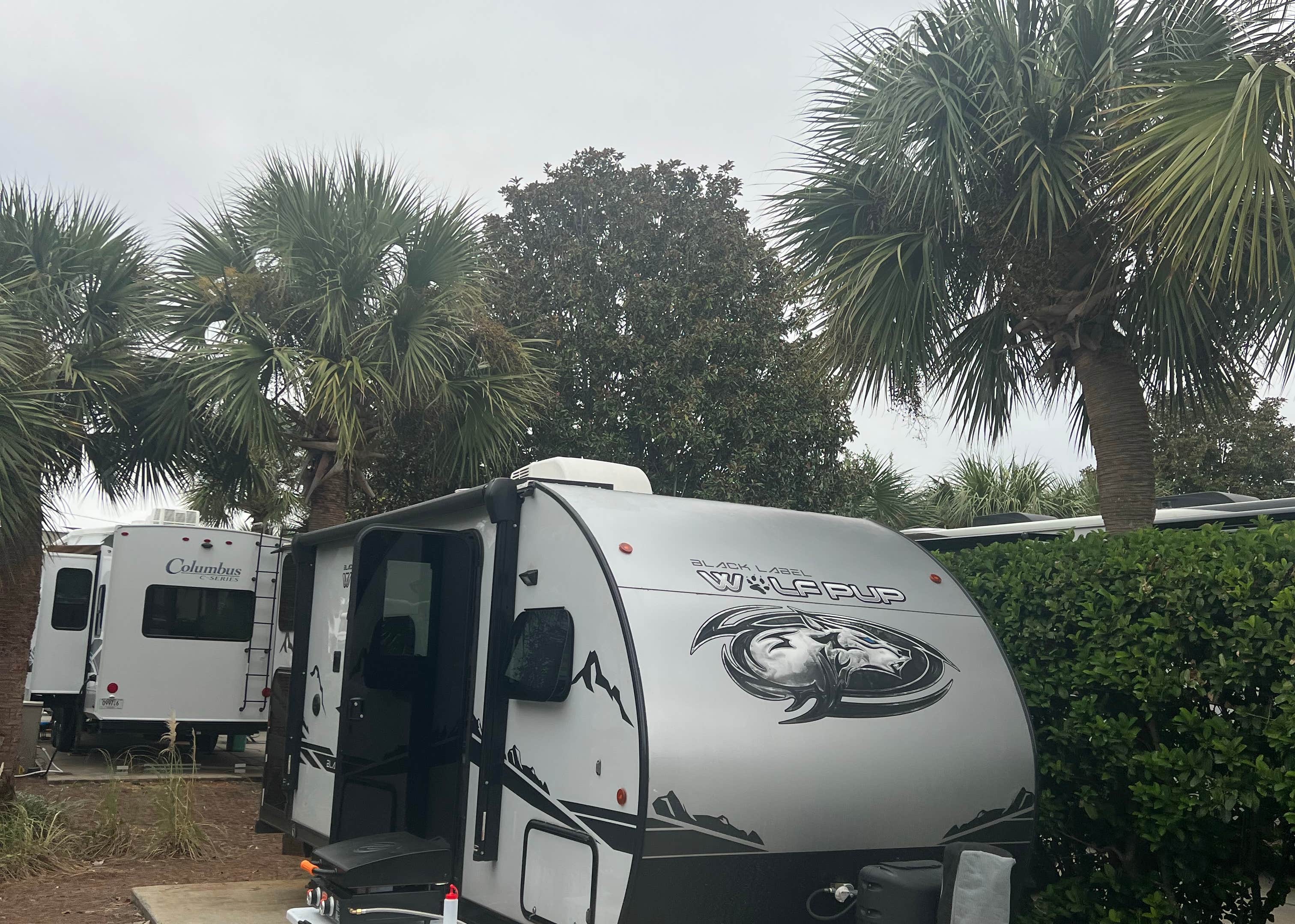 Destin RV Beach Resort Camping | The Dyrt