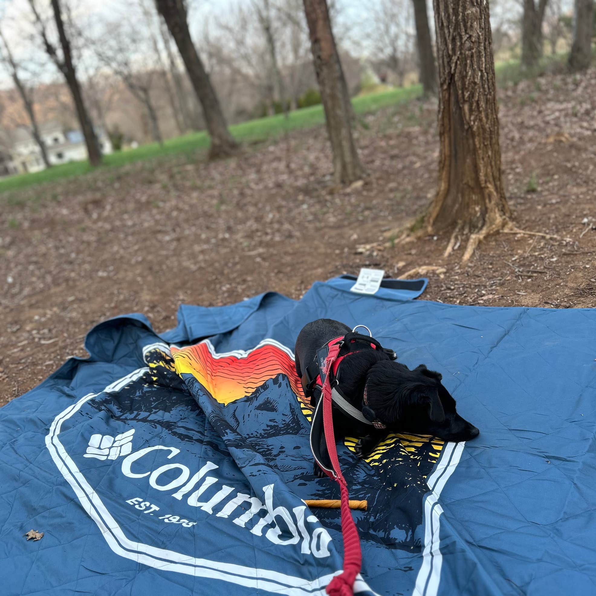 Devils Backbone Camp | Nellysford, Virginia