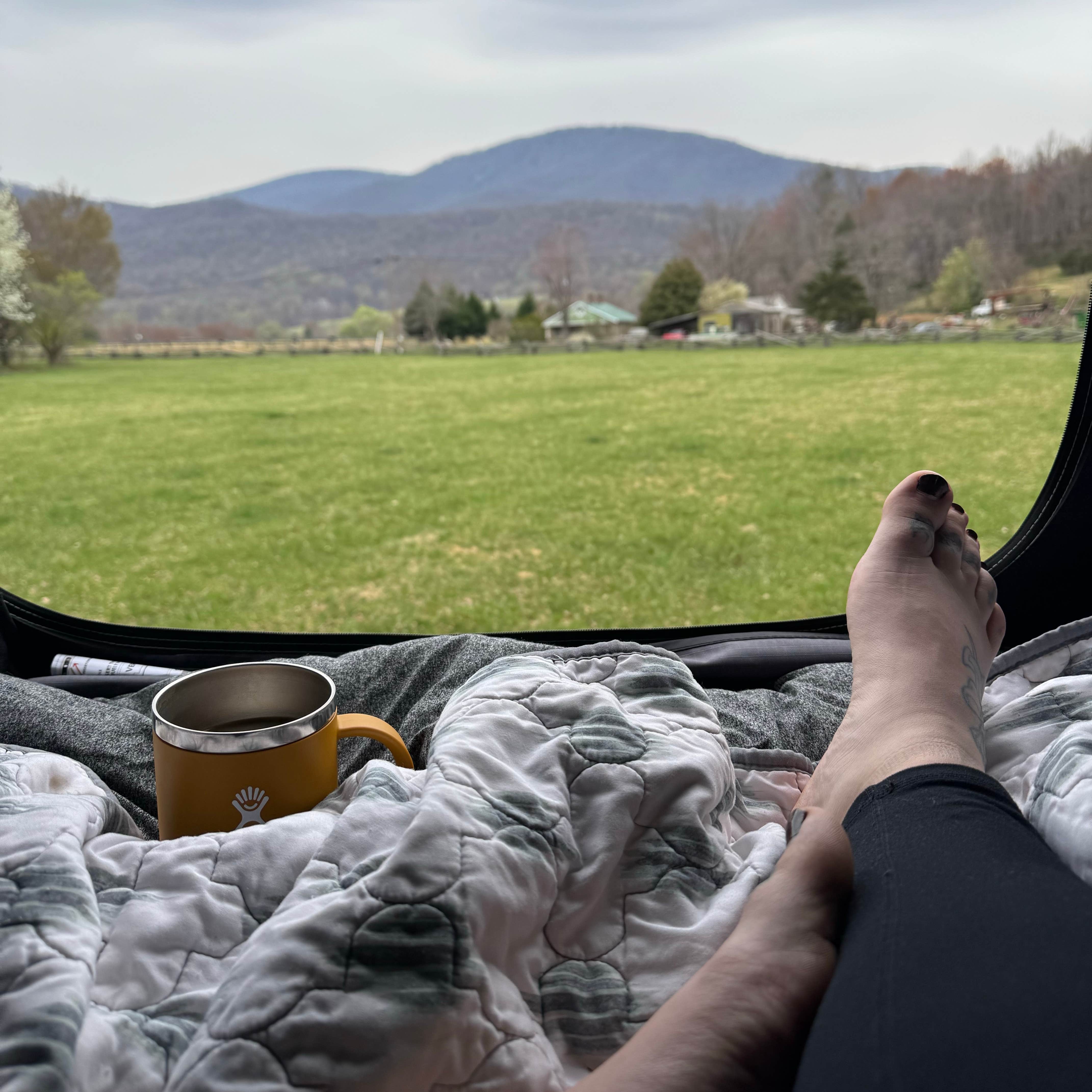 Devils Backbone Camp | Nellysford, Virginia