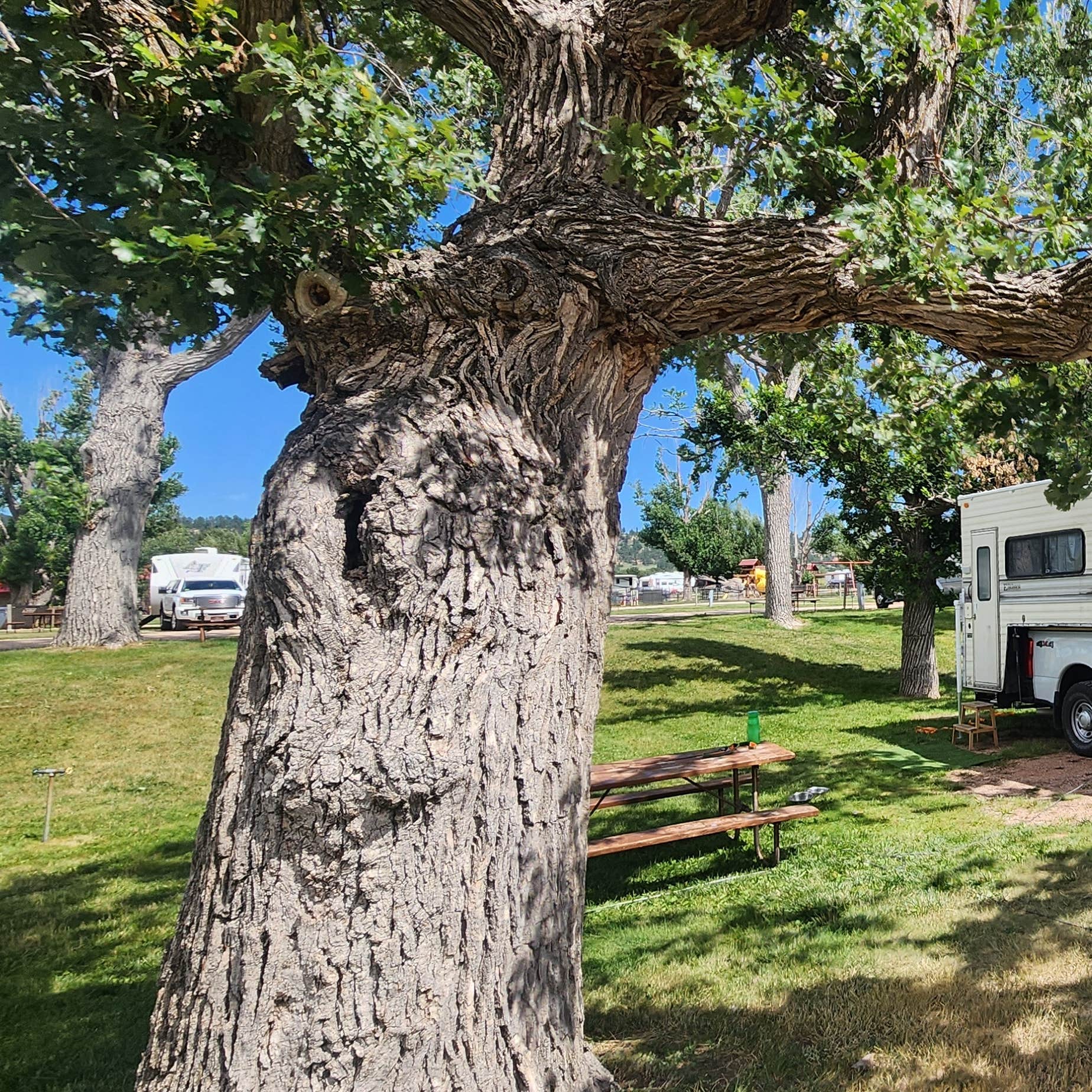Devils Tower KOA Camping | Devils Tower, Wyoming