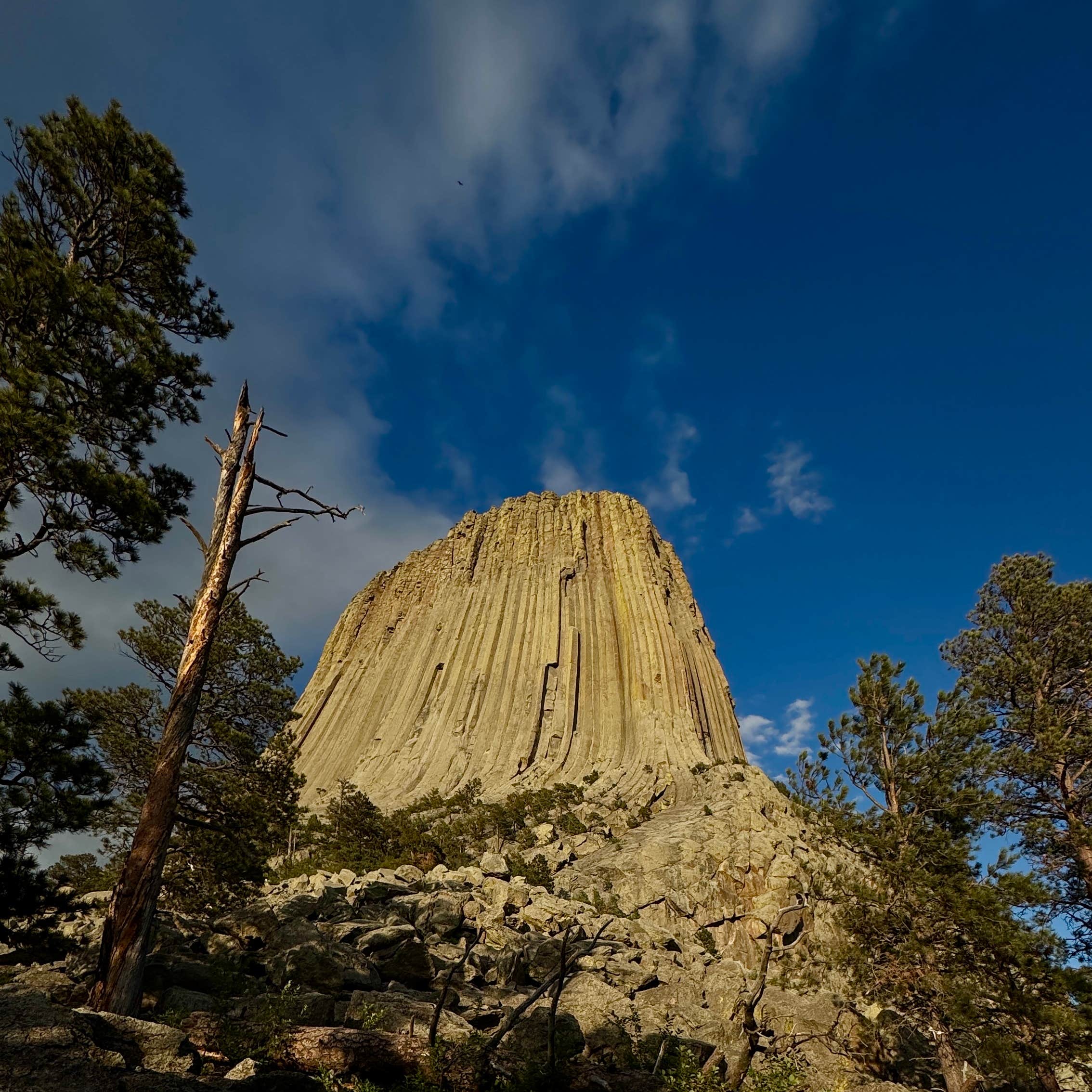 Devils Tower KOA Camping | Devils Tower, Wyoming