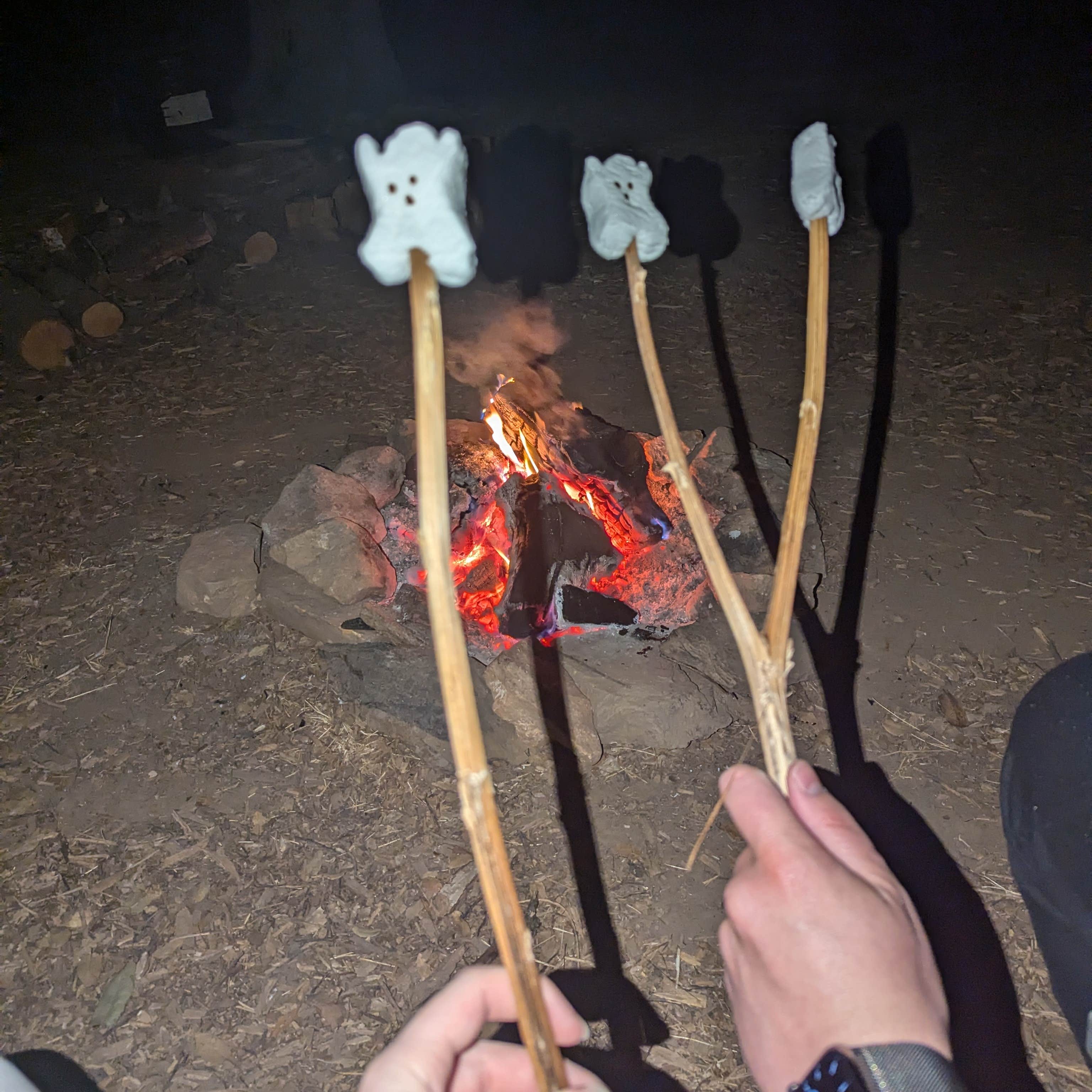 Diamond Gulch Camping | Groveland, California