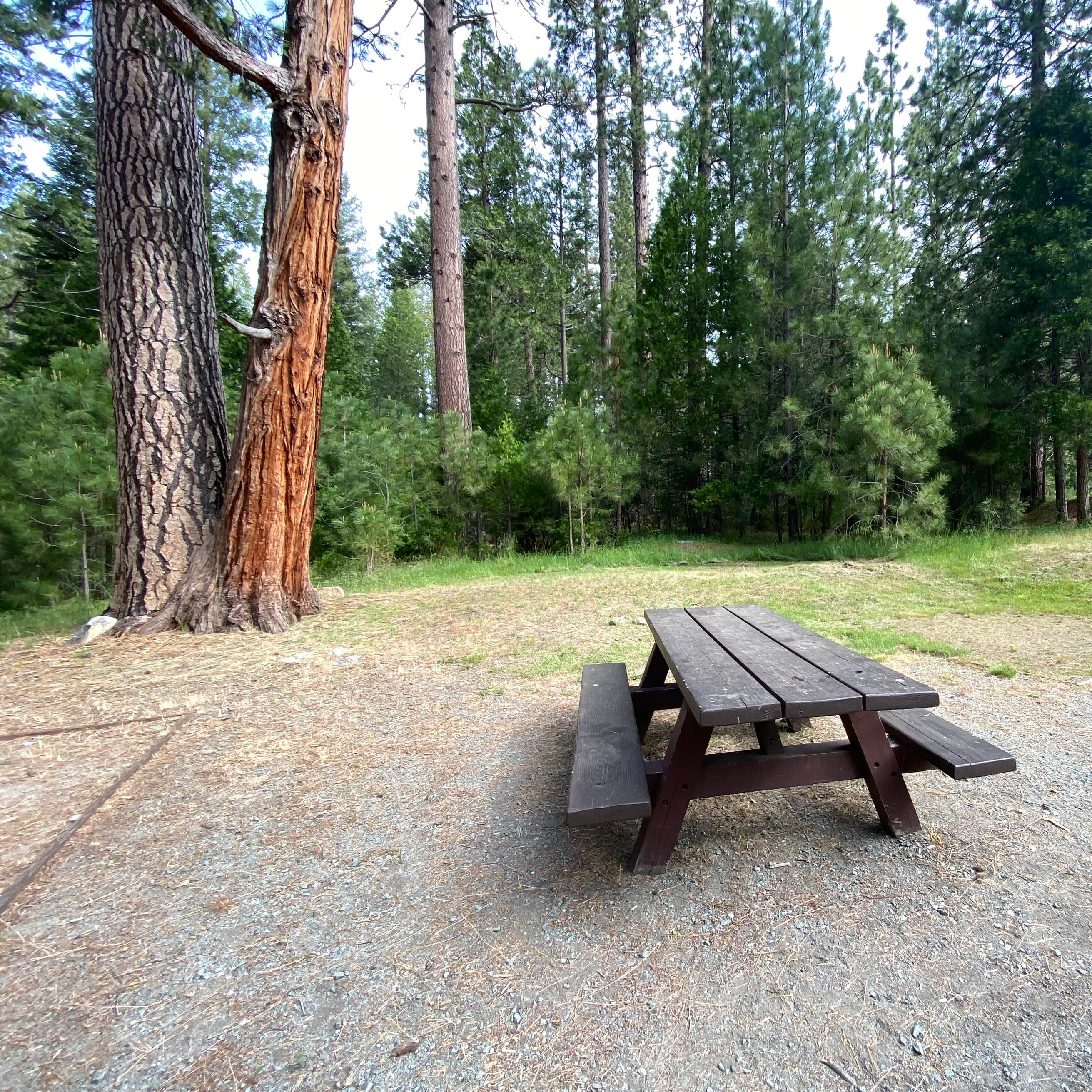 Dimond O Campground | Mather, California