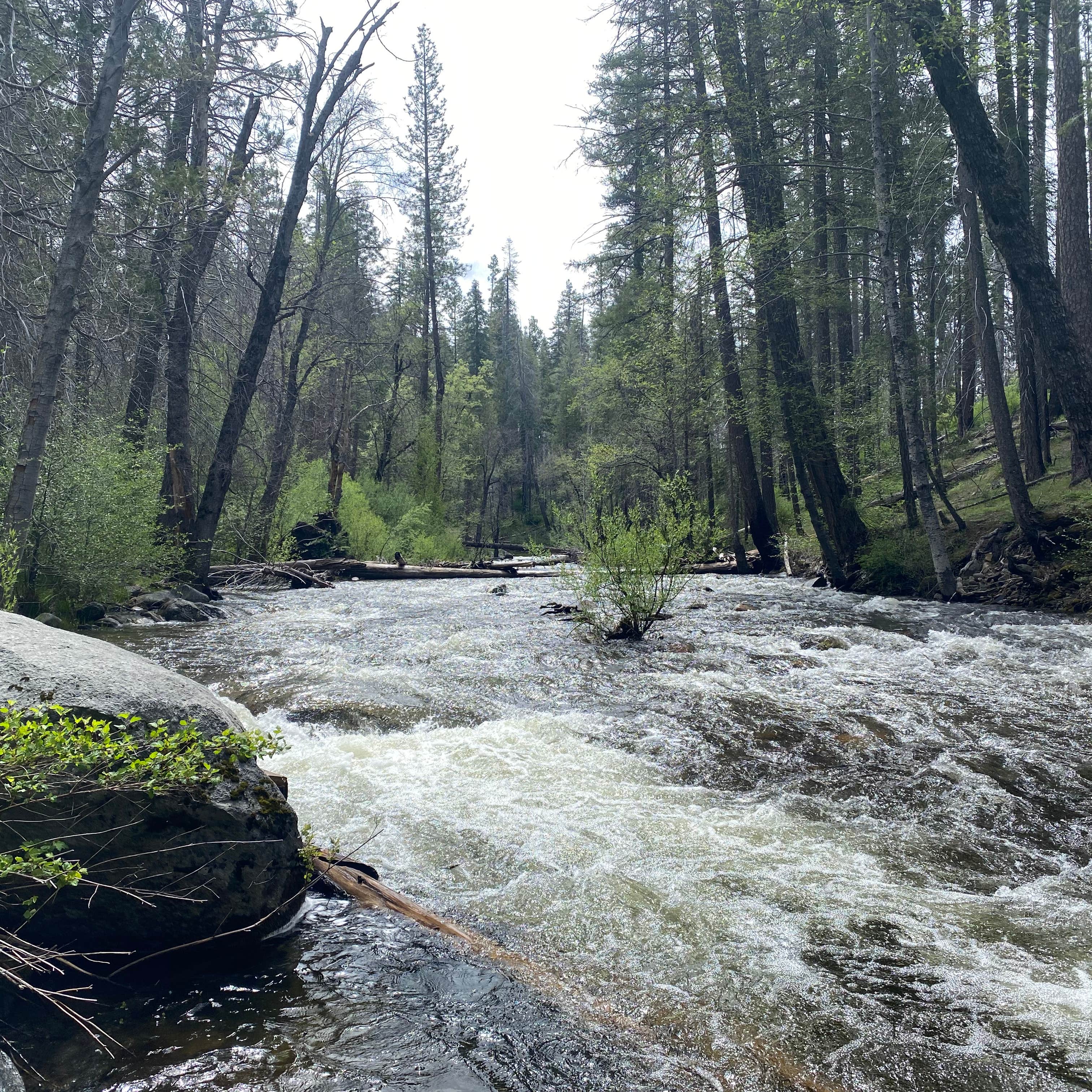 Dimond O Campground | Mather, California