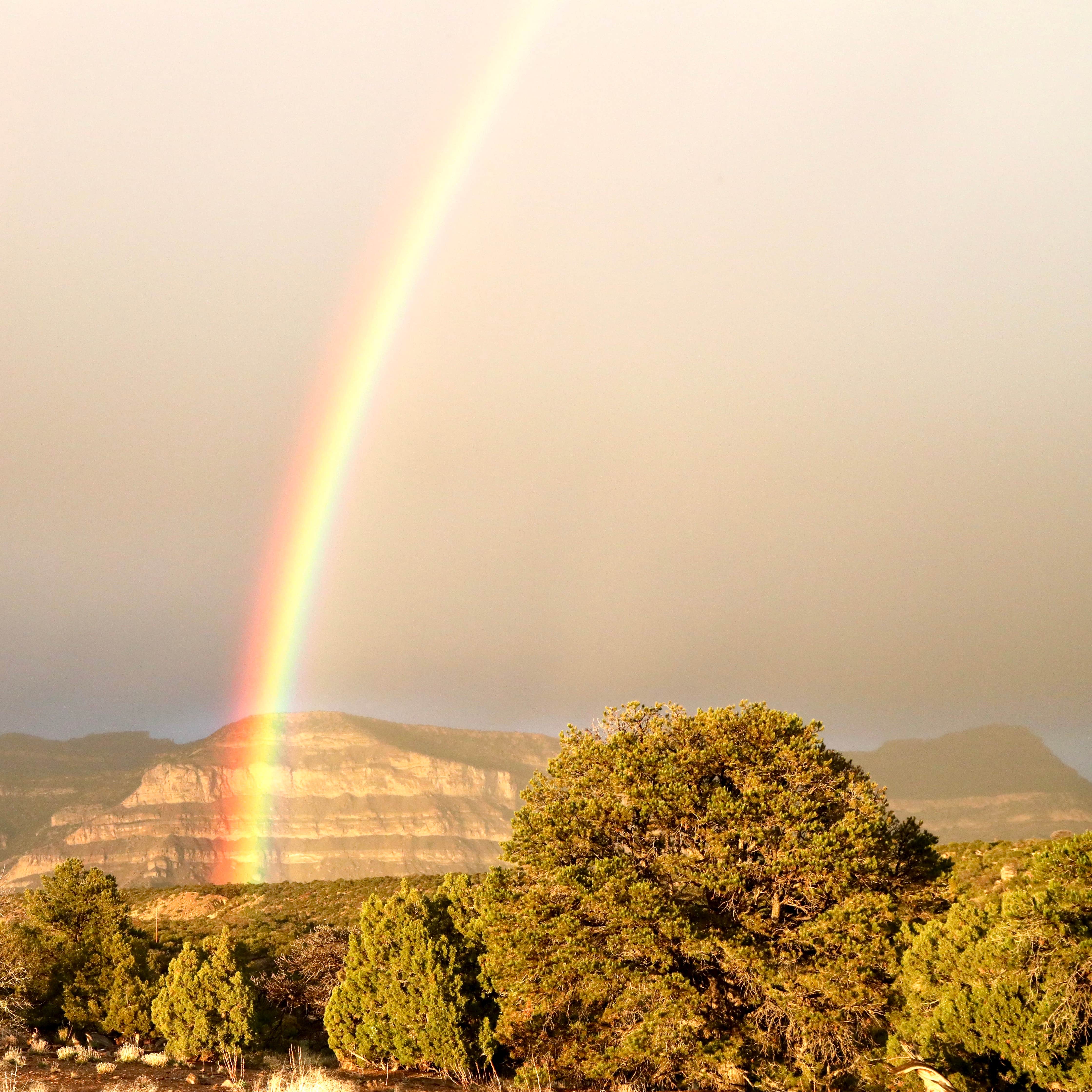 Horse Canyon Road - Dispersed Open Area Camping | Sunnyside, UT