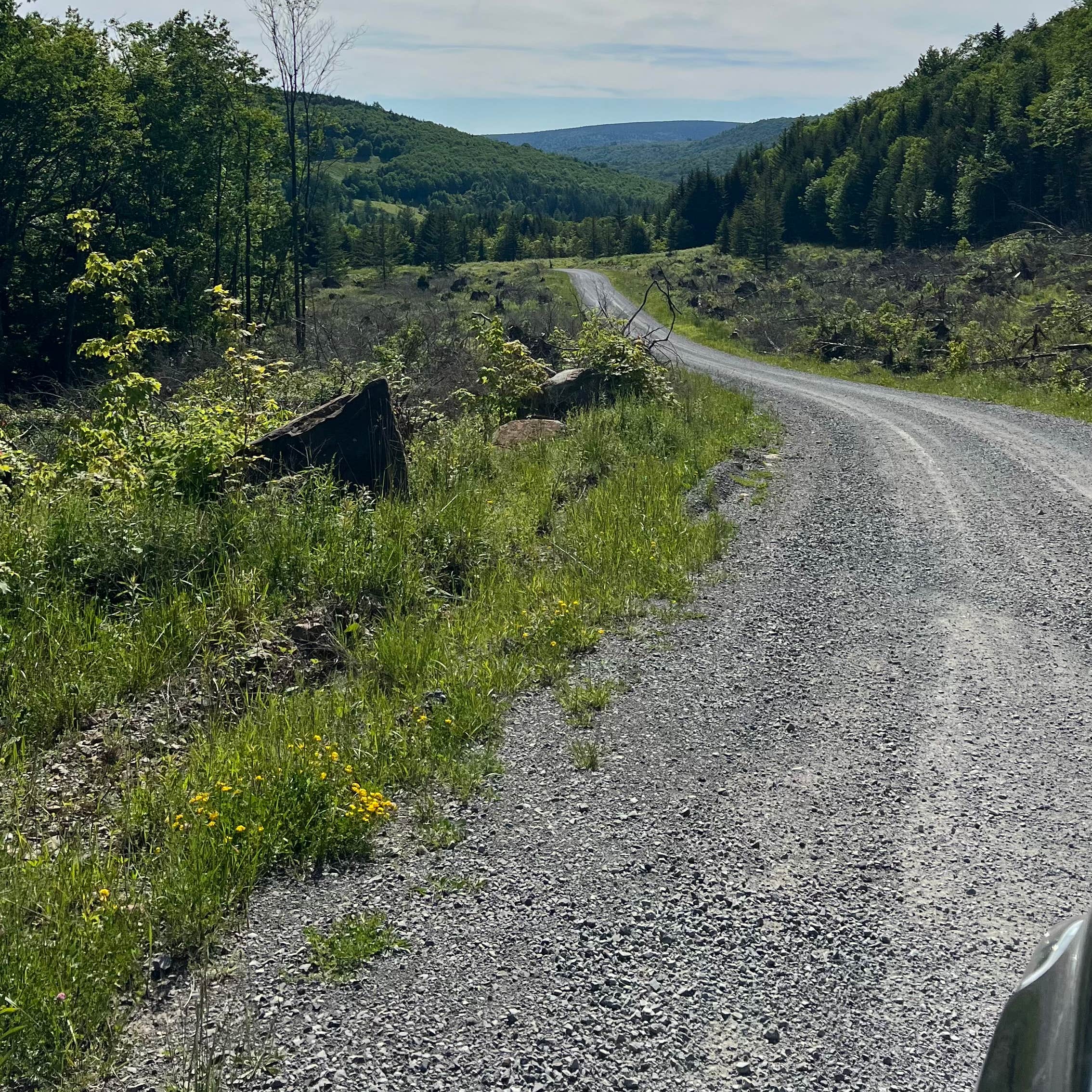 Dispersed camping at Mower Basin | Durbin, WV