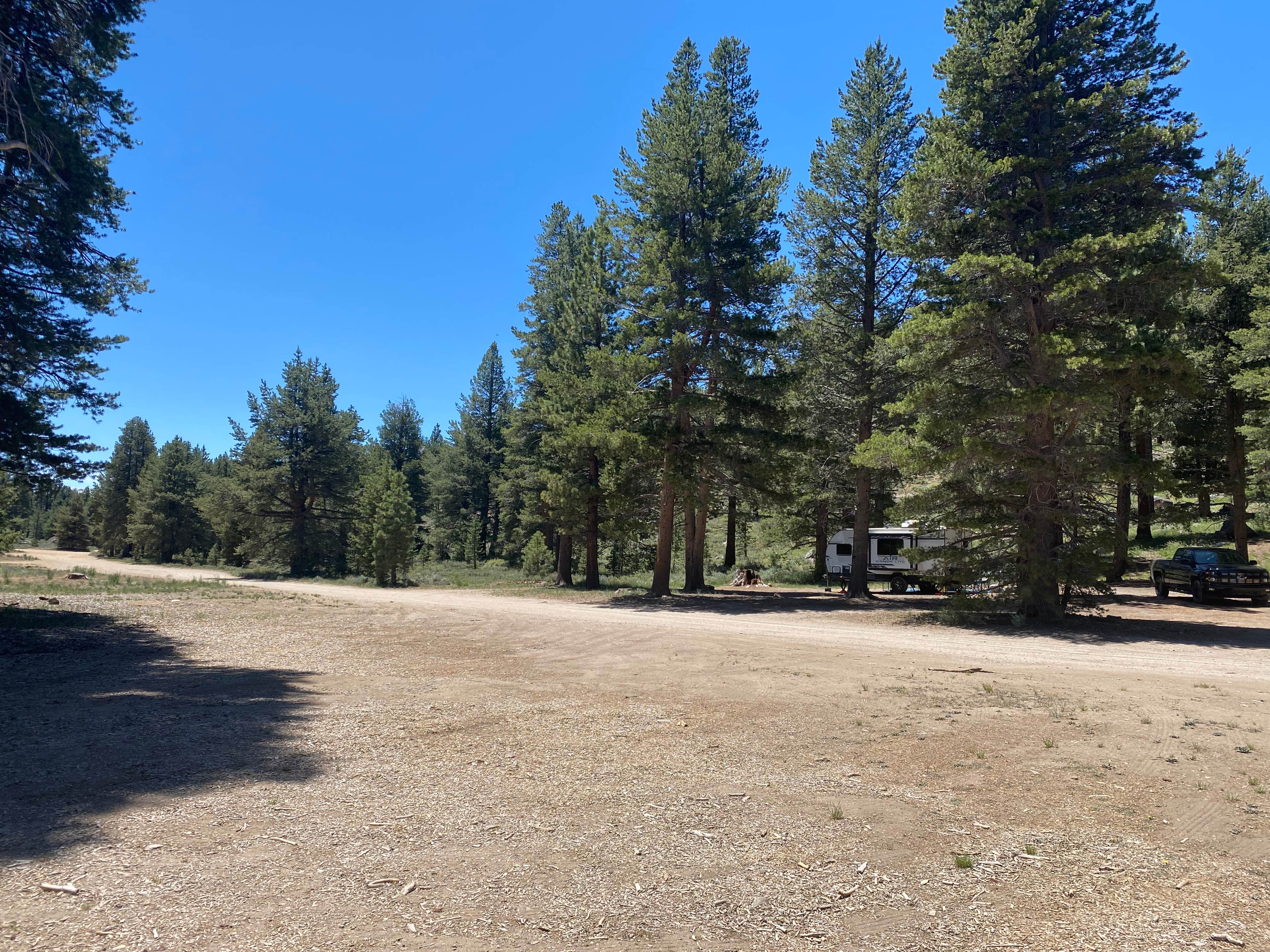 Scotts Lake Rd Dispersed Camping | Hope Valley, CA