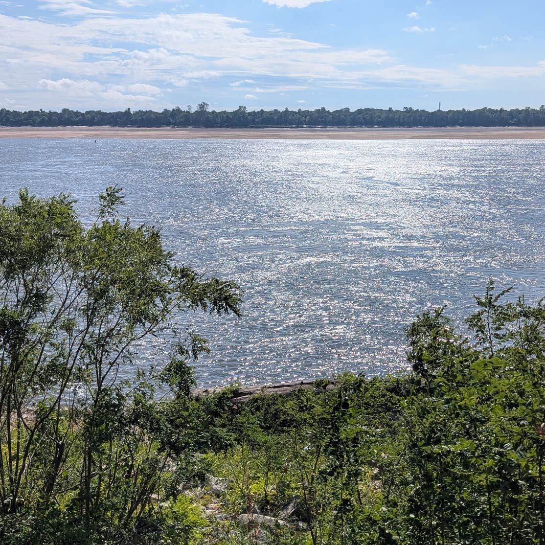Donaldson Point Conservation Area Camping | New Madrid, Missouri