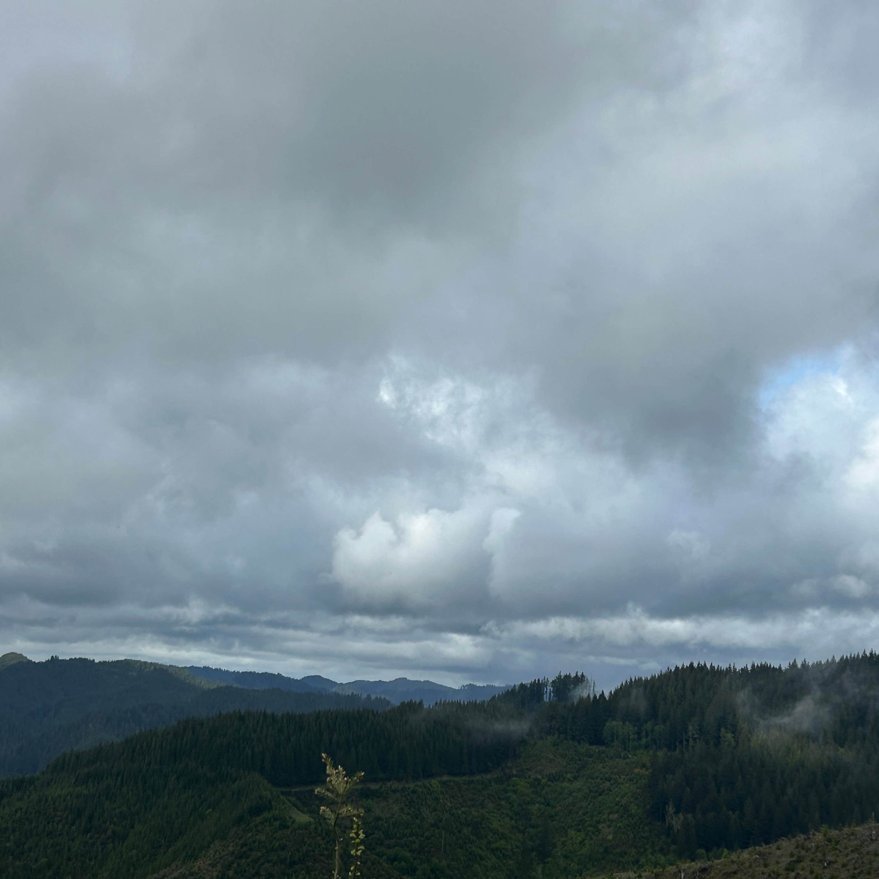 Elliott State Forest Dispersed Camping | North Bend, Oregon
