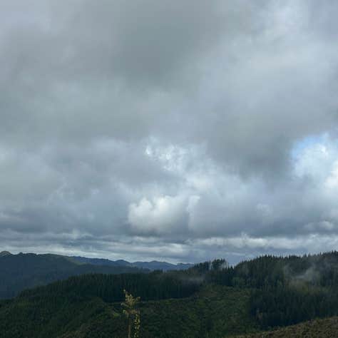 Elliott State Forest Dispersed Camping | North Bend, Oregon