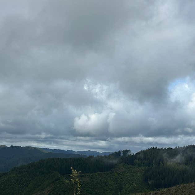 Elliott State Forest Dispersed Camping | North Bend, Oregon