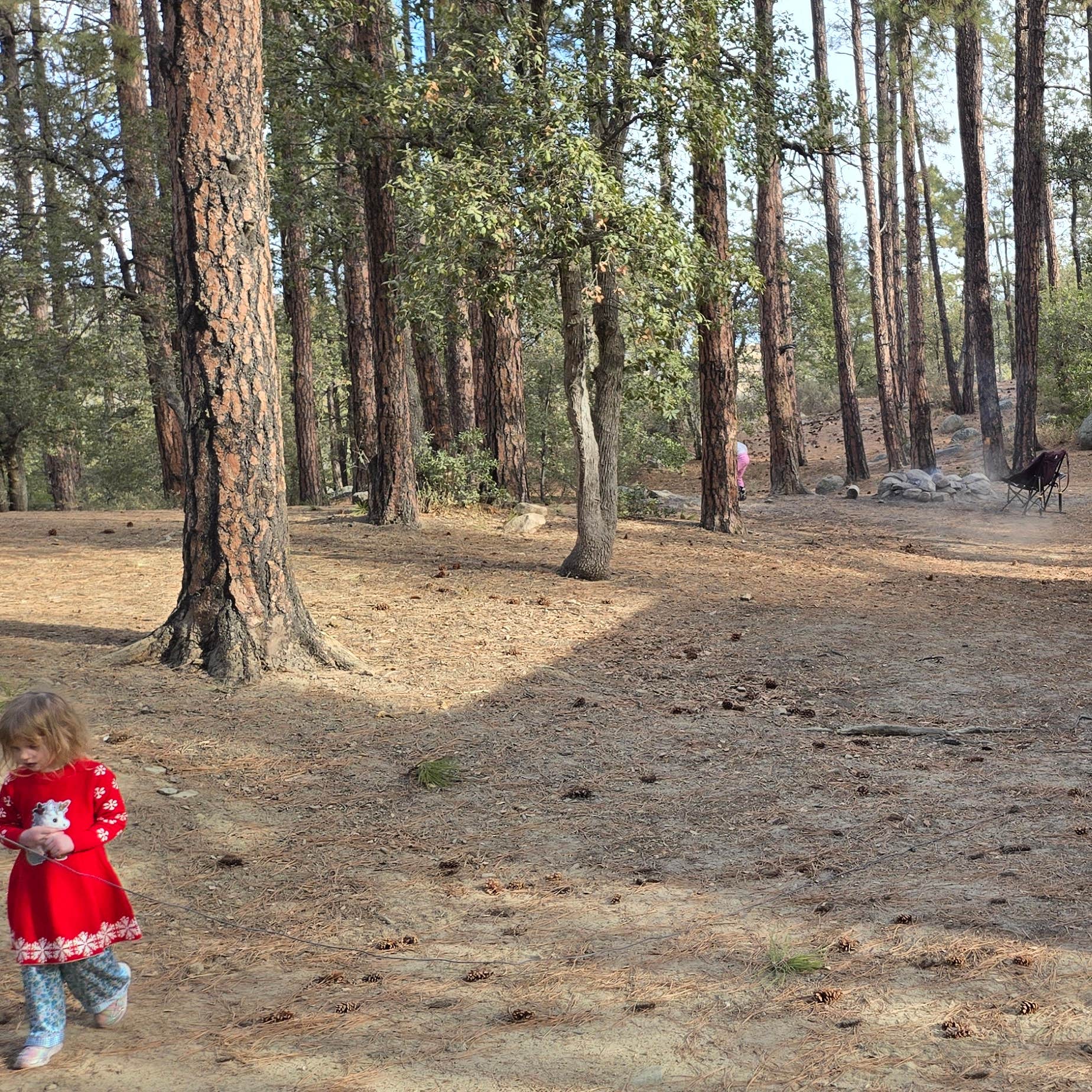 Dispersed camping near Crown King | Crown King, Arizona