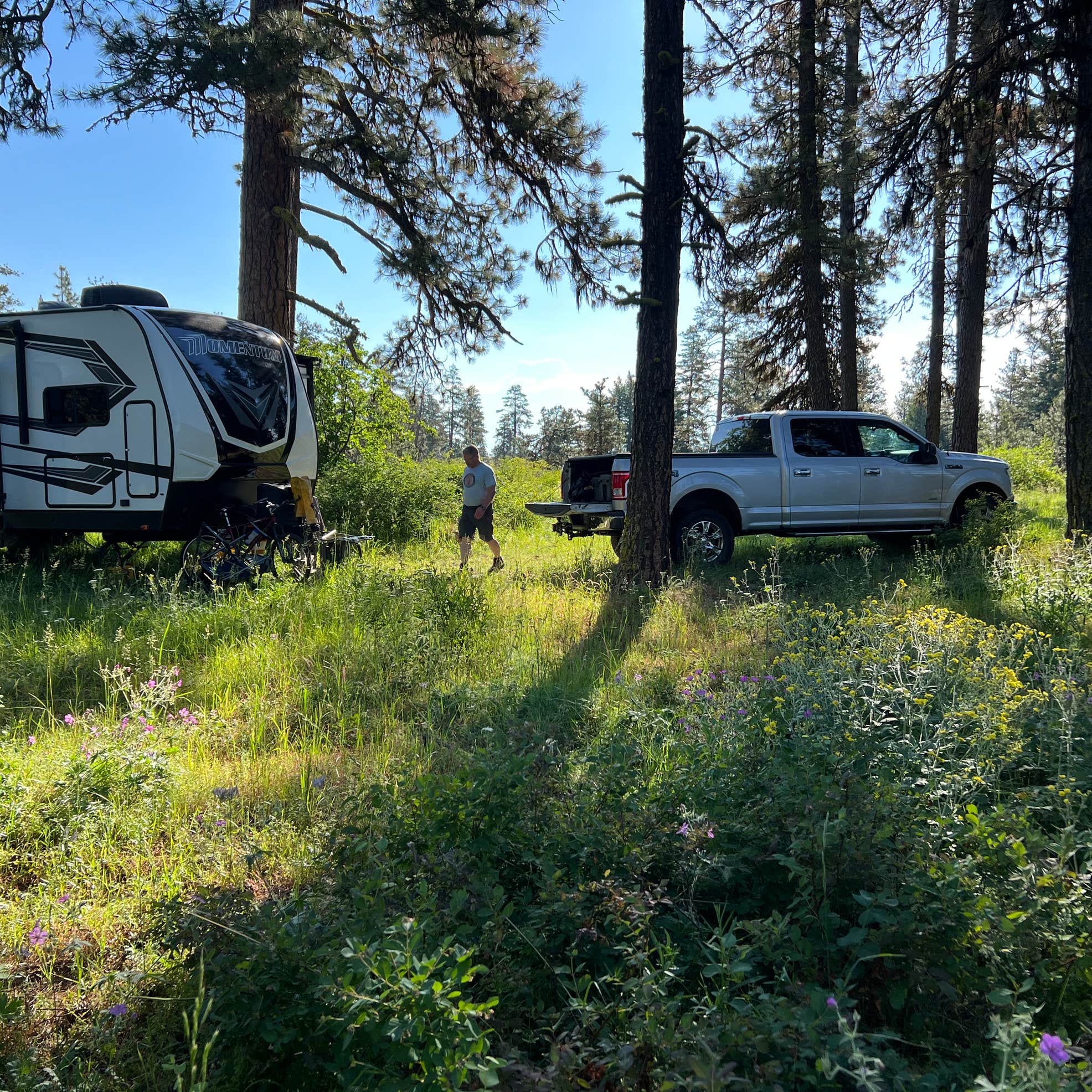 North Thomason Meadows Camping | Imnaha, Oregon
