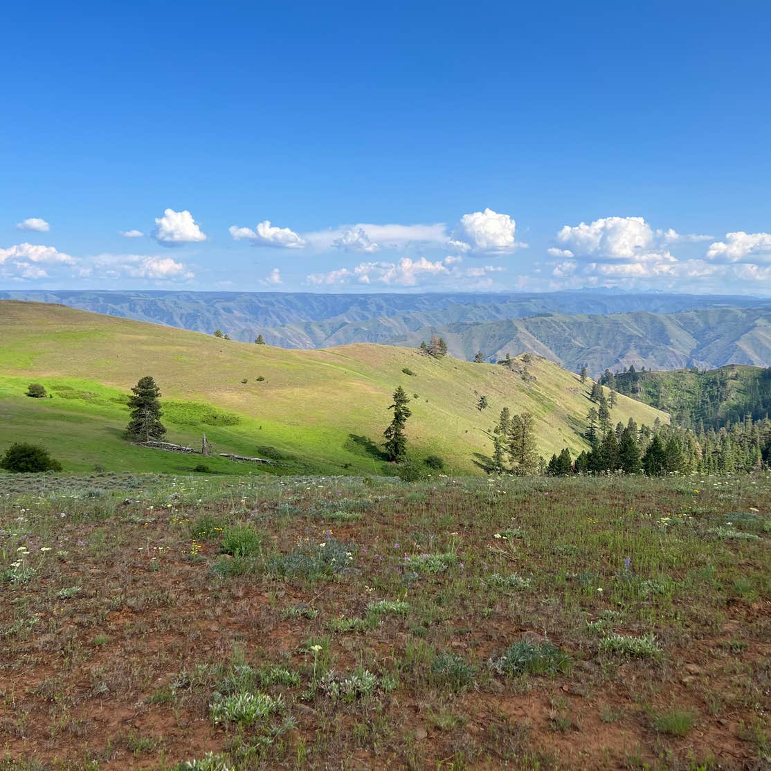 North Thomason Meadows Camping | Imnaha, Oregon