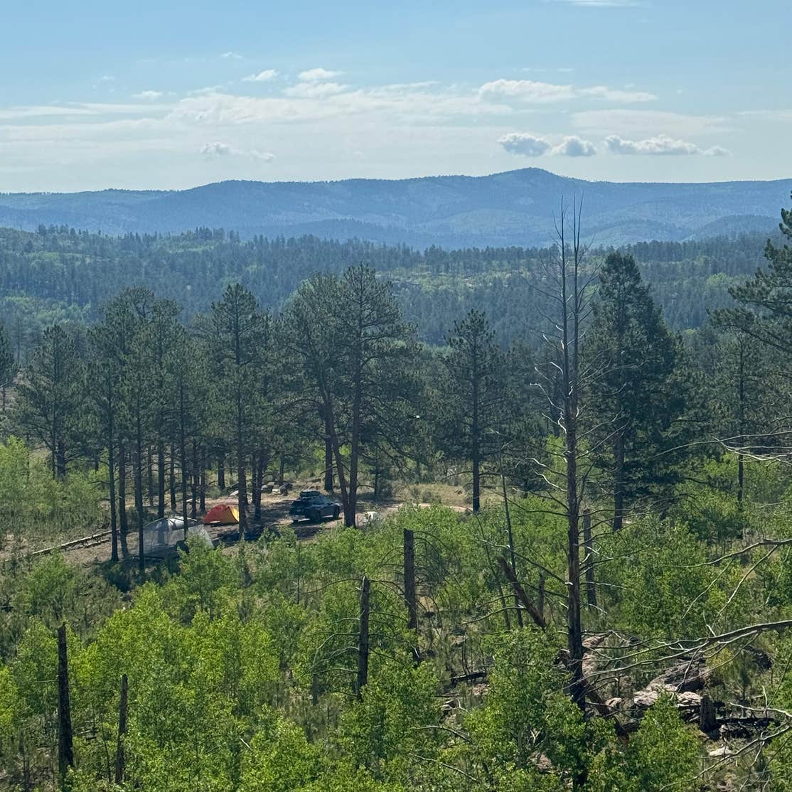 Tarryall Creek- Dispersed Camping | Lake George, CO