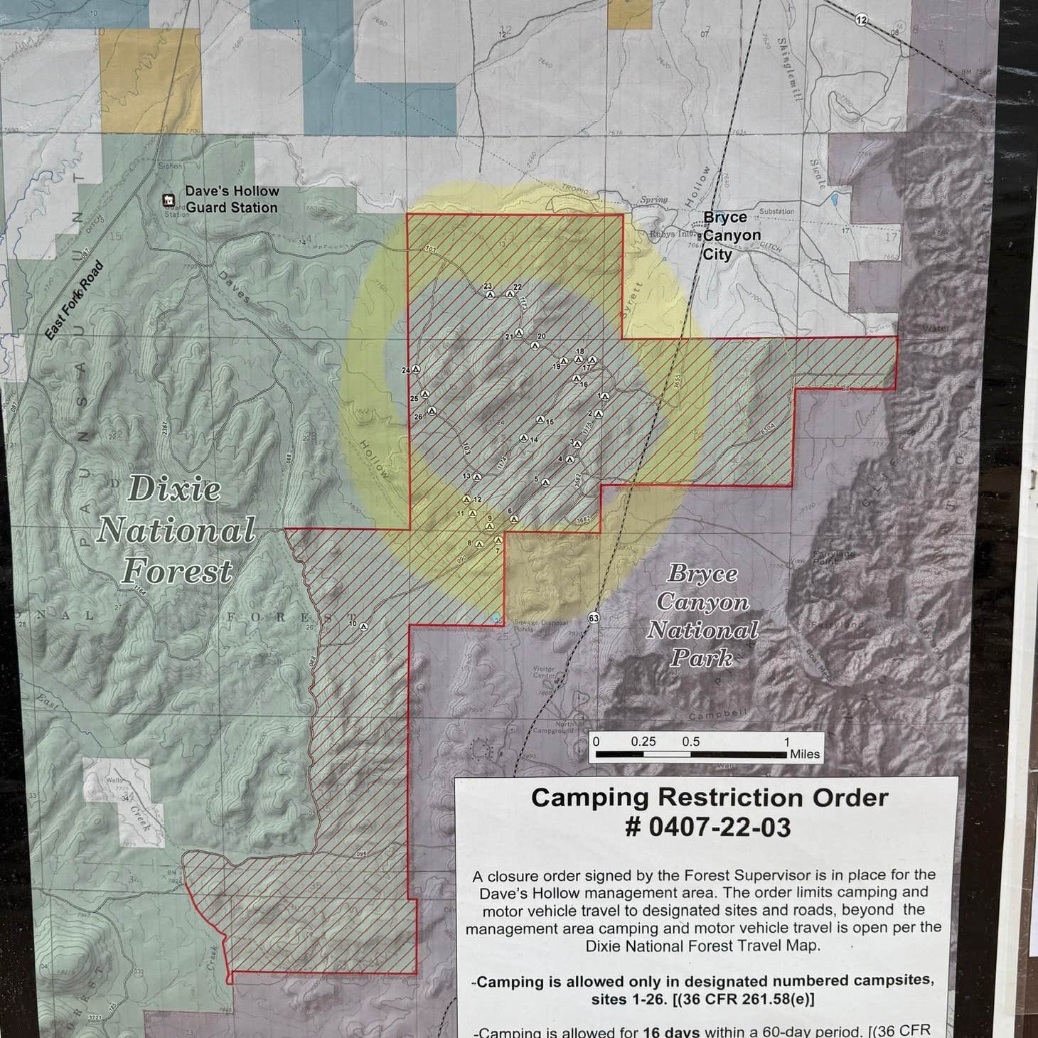 FR 090 - dispersed camping | Fern Ridge Lake, Oregon