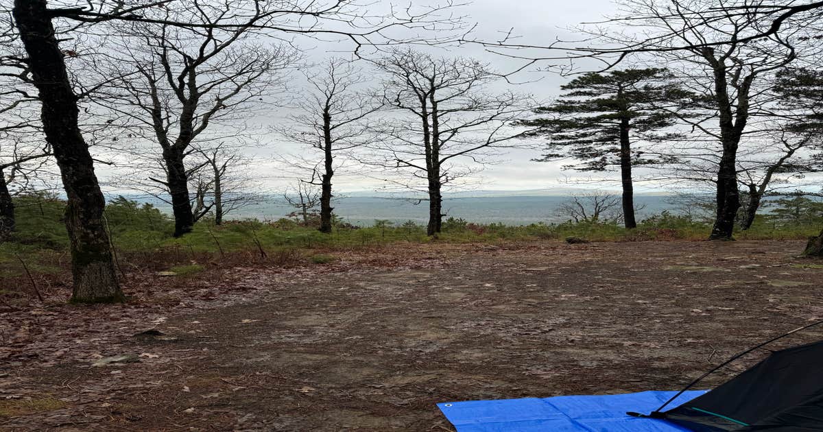 Forest Service RD 132 Ouachita National Forest Camping | Jessieville, AR