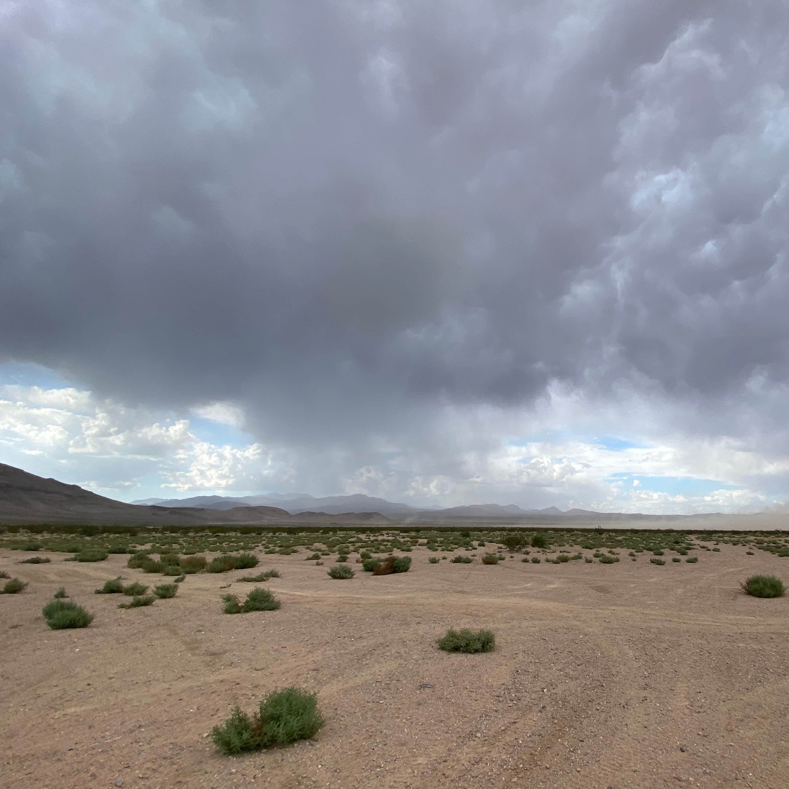 Dispersed-jean/roach Dry Lakes Camping | Jean, NV
