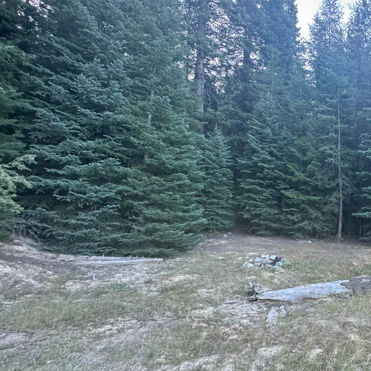 Dispersed near Baboon Creek Quarry Camping | Sumpter, Oregon
