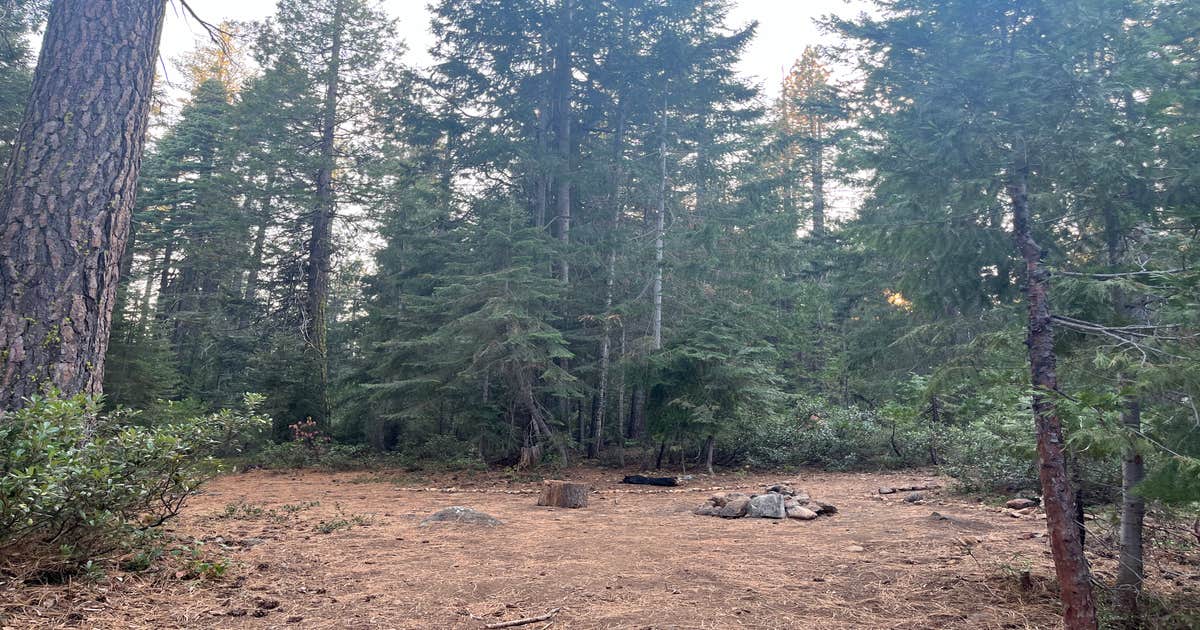 Dispersed Campsite near Castle Lake and Shasta | Mount Shasta, California