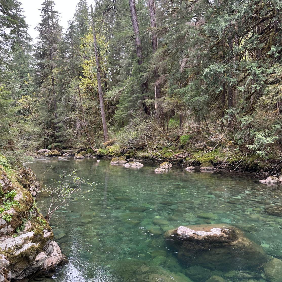 Blue River Reservoir Roadside Camping | Blue River, Oregon