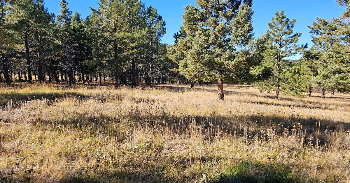 Divide, Colorado Camping | Divide, Colorado